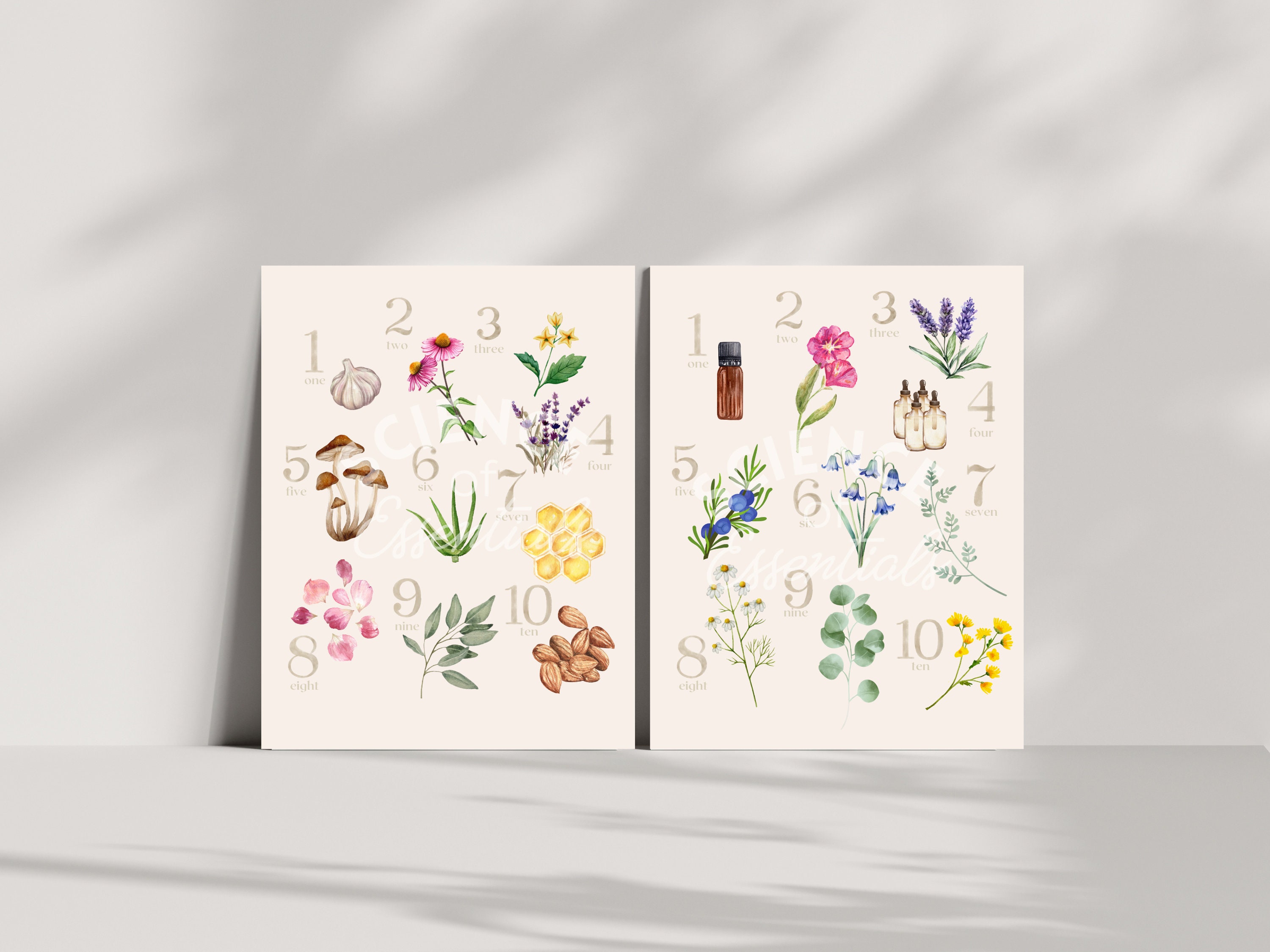 Aromatherapy and Plant Counting Chart: Printable - Etsy