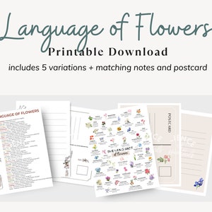 Language of Flowers: Printable - Etsy