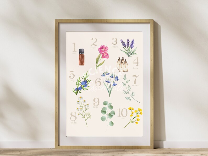 Aromatherapy and Plant Counting Chart: Printable - Etsy