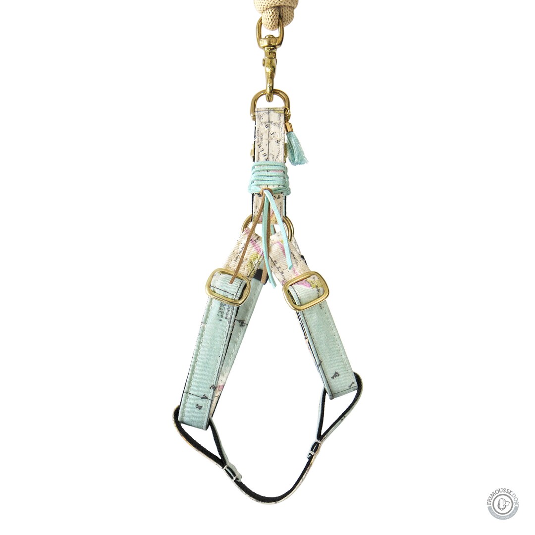O'neil Adjustable Dog Y Harness - Etsy
