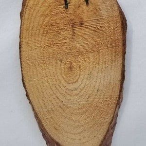 Vintage 1960 Rockaway Beach F. Plasman Wooden Log Family Tree - Etsy