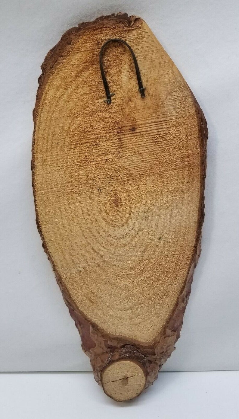 Vintage 1960 Rockaway Beach F. Plasman Wooden Log Family Tree - Etsy