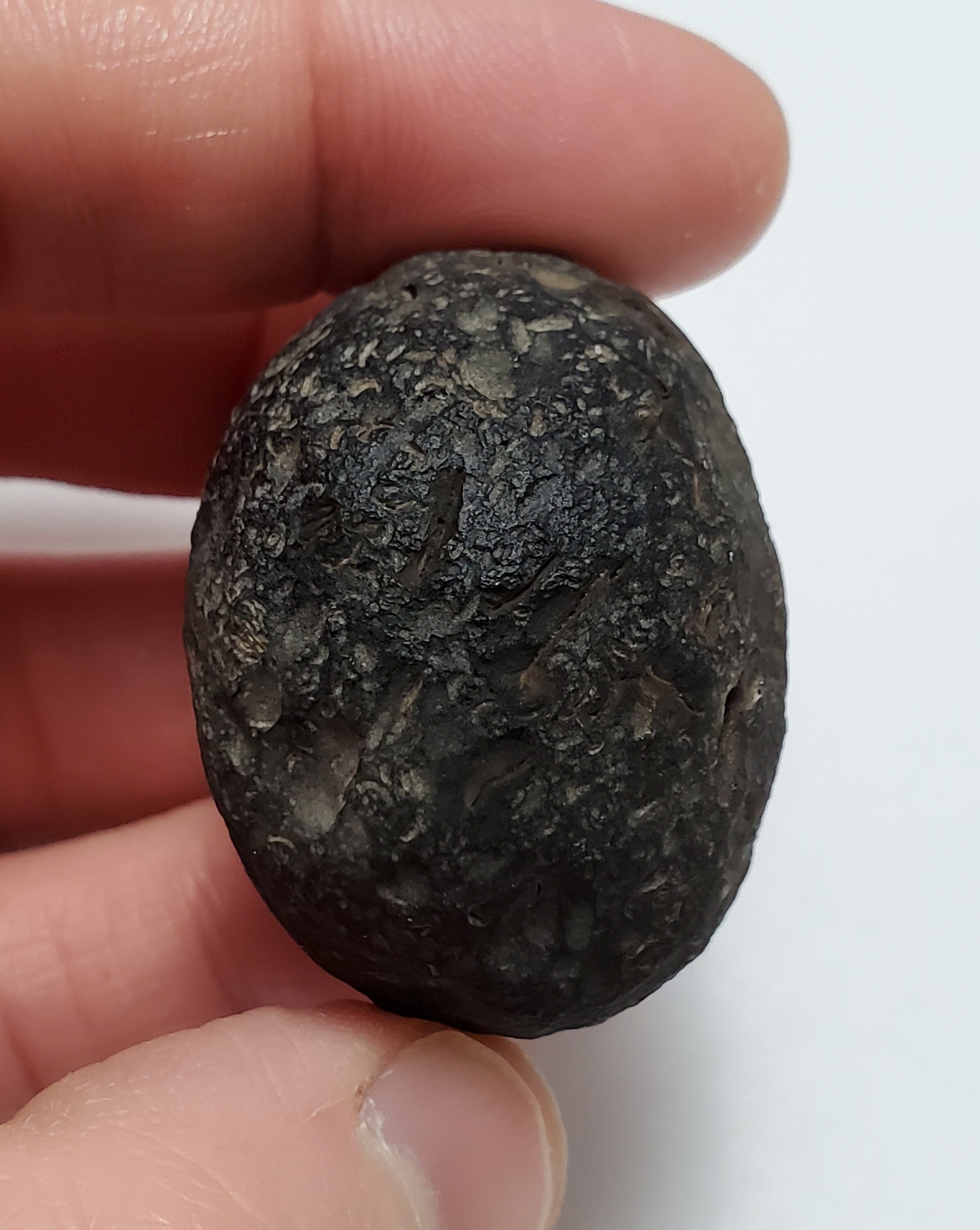 HUGE 44.3 Grams or 221.5 Carat Saffordite Translucent Tektite ...