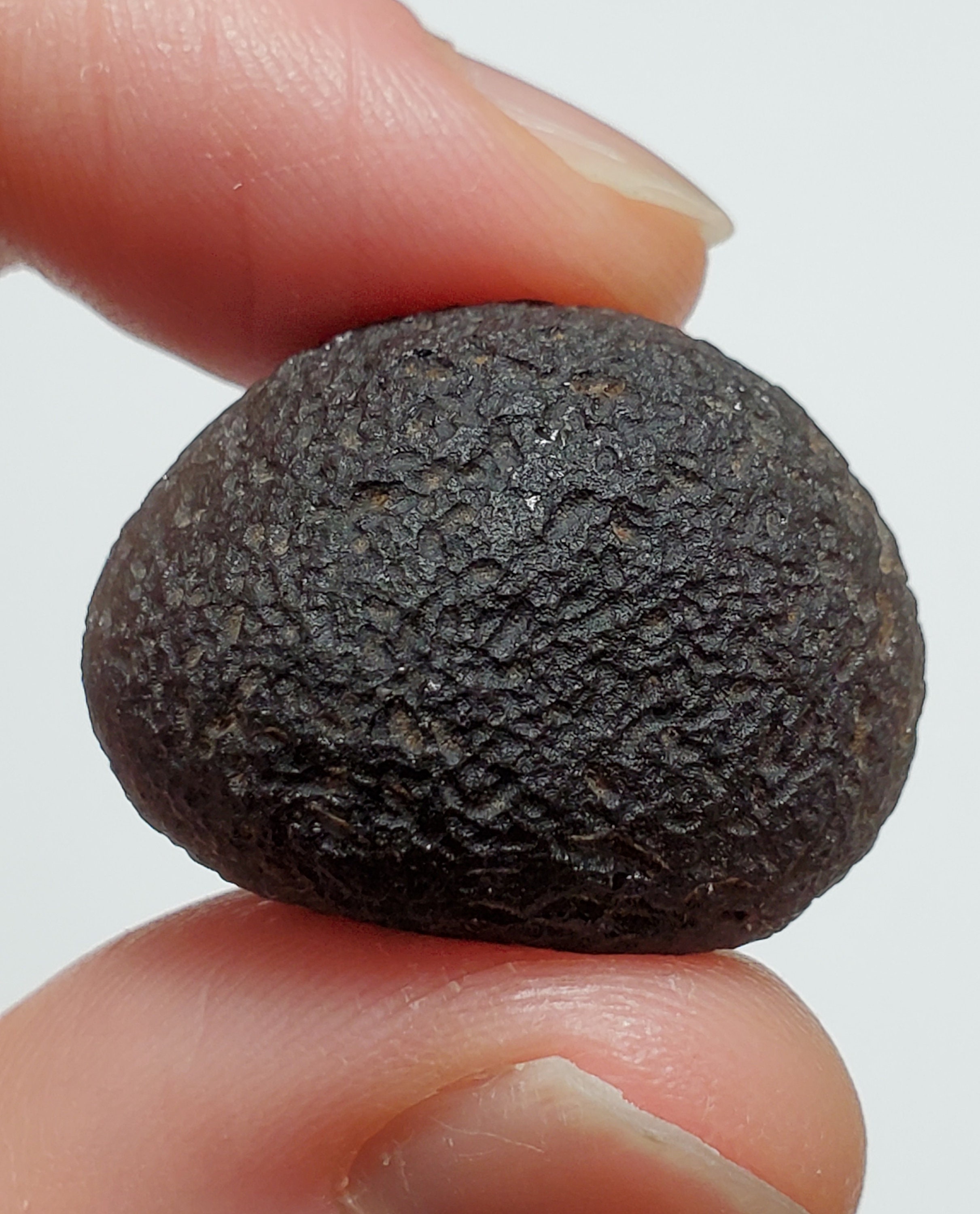 Cintamani Saffordite 12.2 Grams- Cintamani Stone Senora Desert Arizona ...