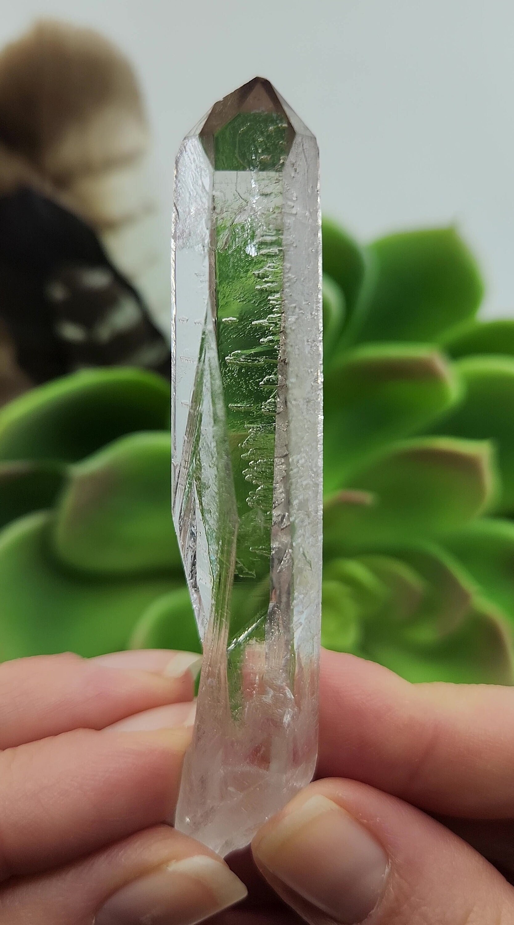 Starbrary Quartz- 9 cm Long- Zeca De Souza, Brazil- Long Slender Wand ...