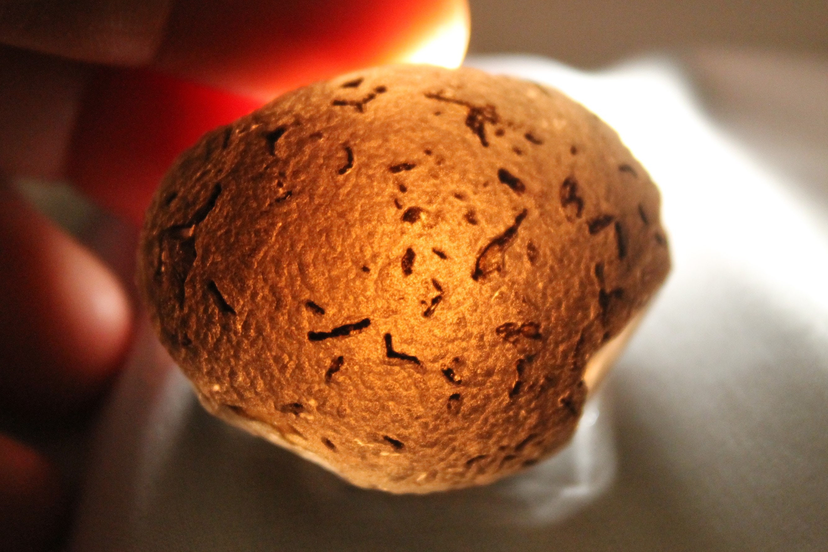 Large Saffordite Cintamani Translucent Tektite- Cintamani Stone from ...