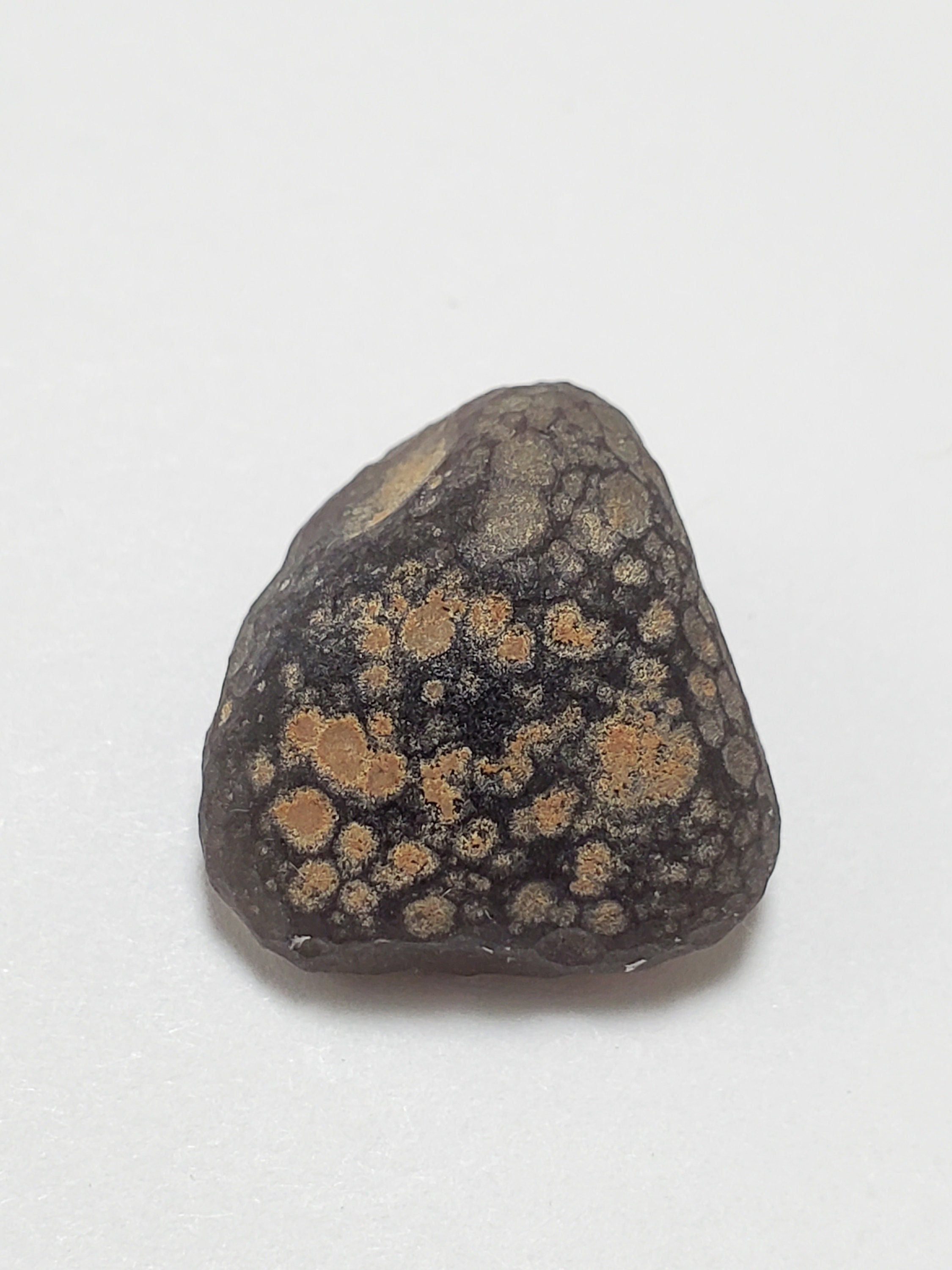 Cintamani Saffordite 3.7 Grams- Cintamani Stone Safford Arizona USA ...