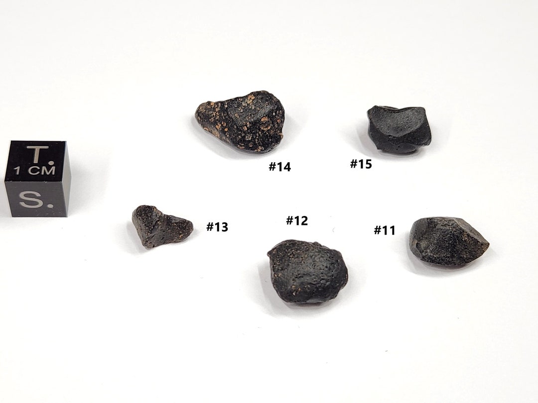 Choose One Australite Tektite From South Australia: Australasian Impact ...