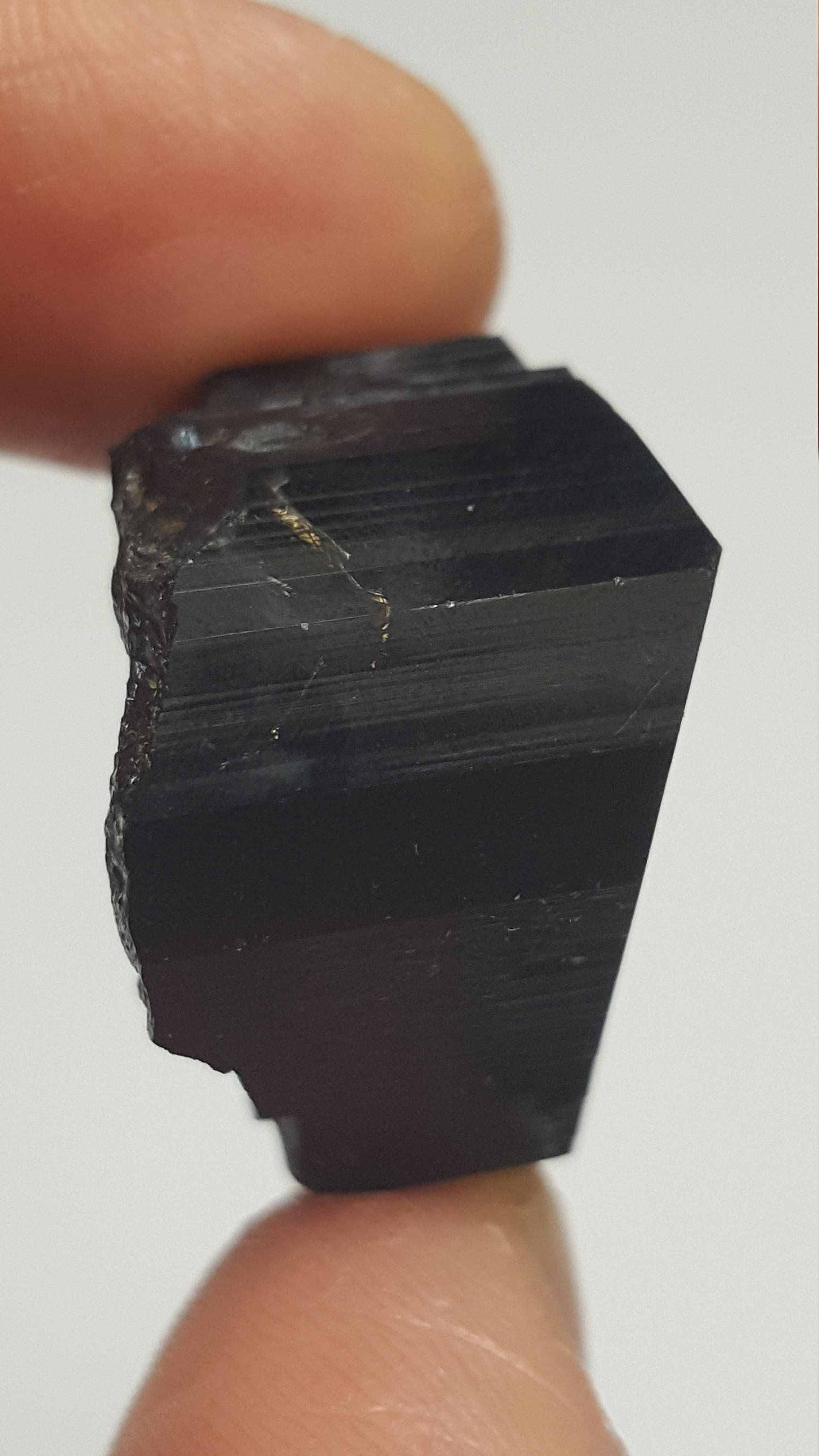 Lustrous Black Tourmaline, Erongo Namibia... Terminated Crystals with ...