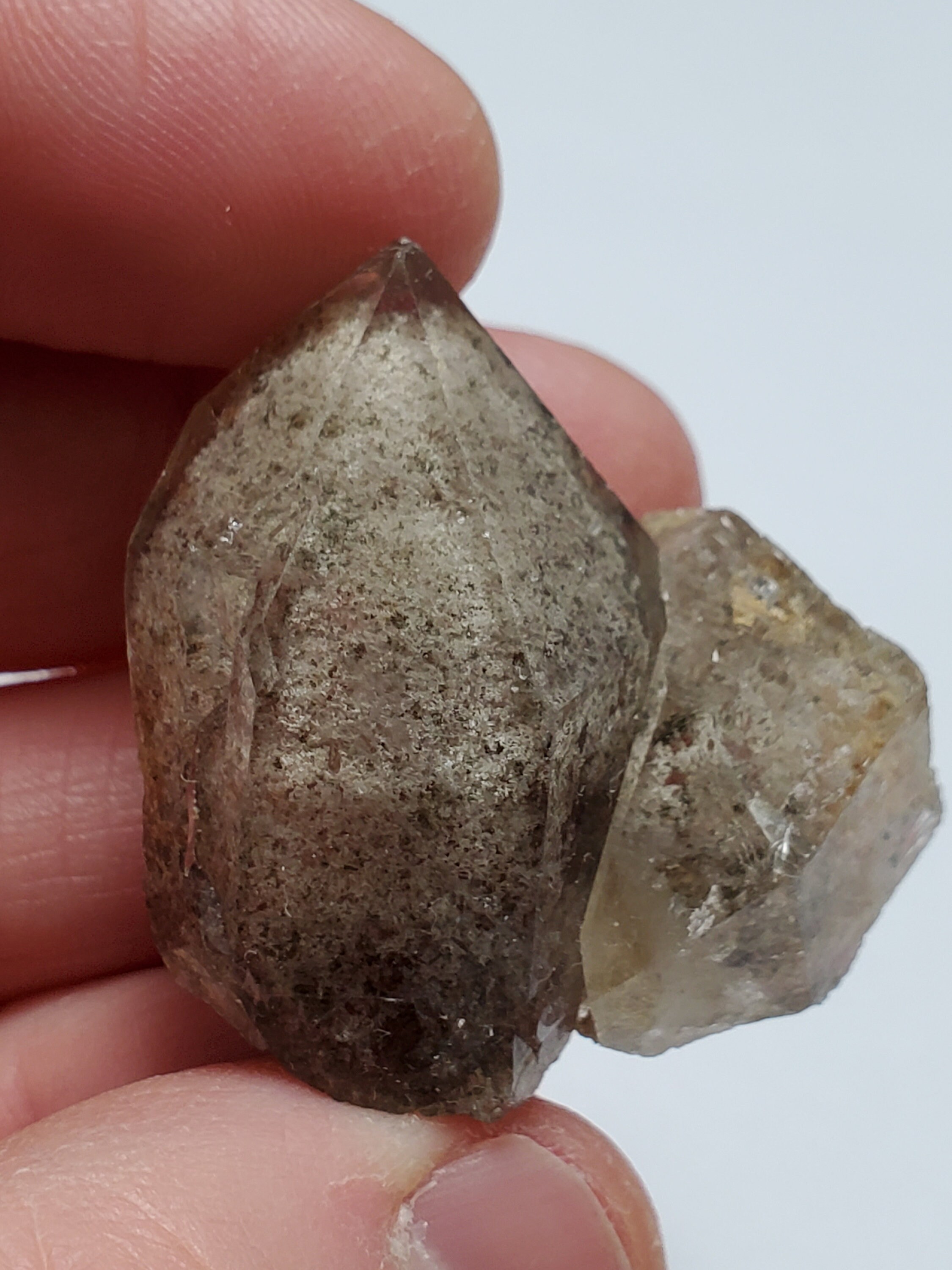 Unpolished 'Garden/ Shaman' Quartz Crystal with Excellent Mineral ...
