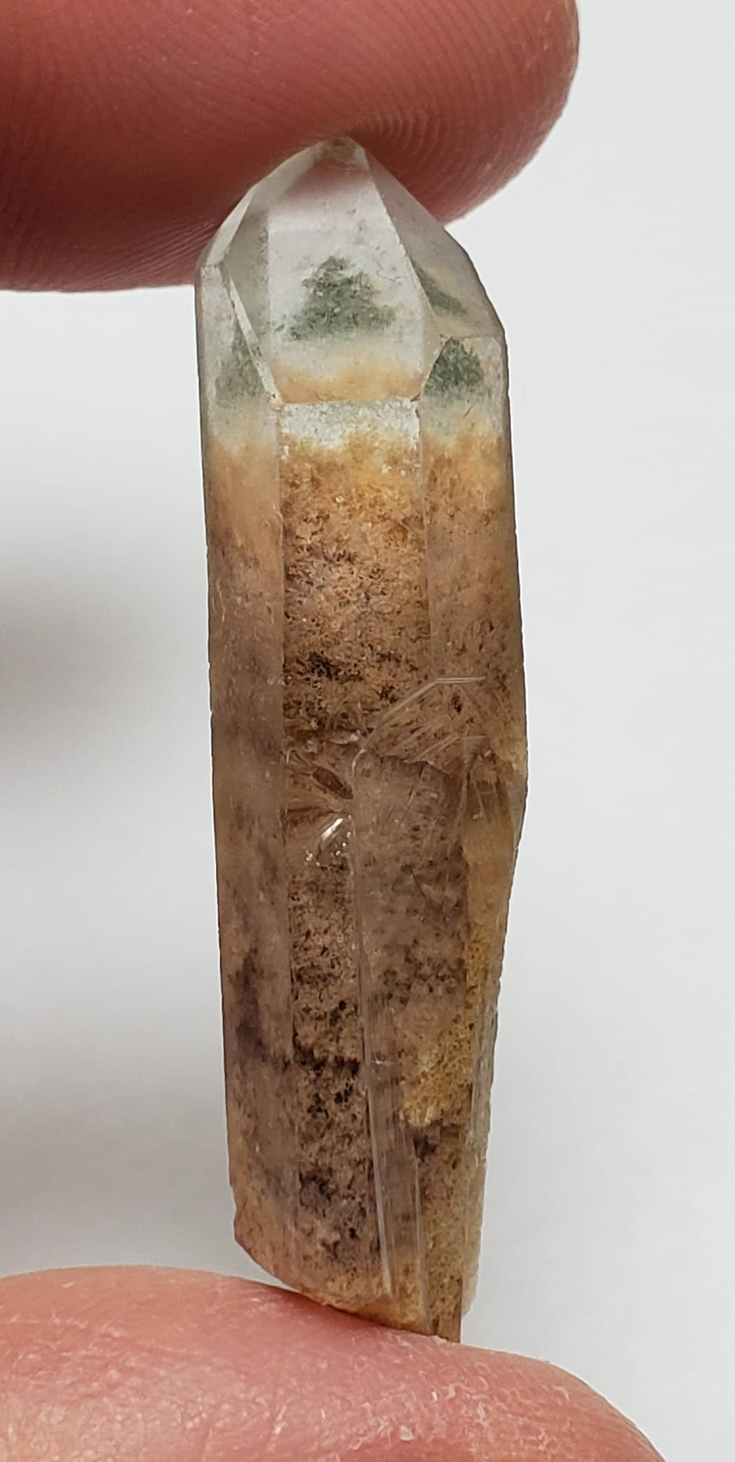 Unpolished 'Garden/ Shaman' Quartz Crystal with Excellent Mineral ...