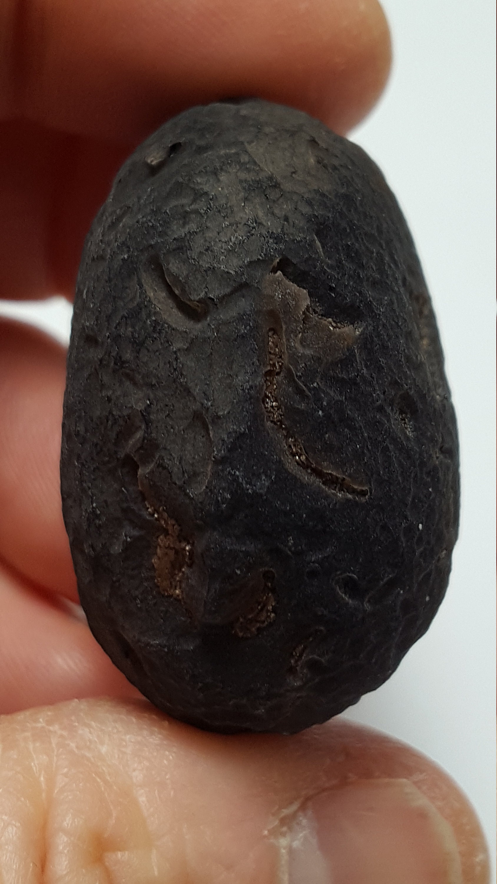 Large Saffordite Cintamani Tektite- Cintamani Stone from Arizona, USA ...