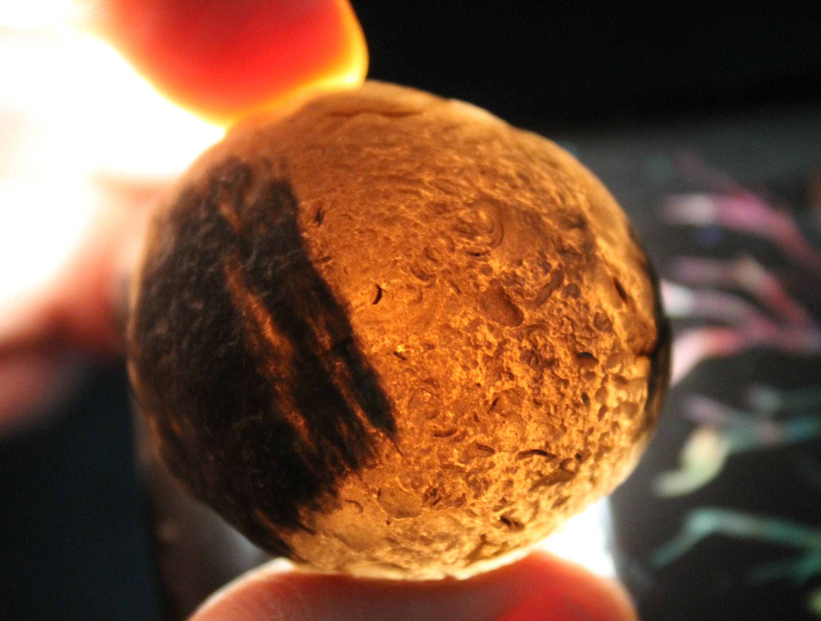 HUGE 44.3 Grams or 221.5 Carat Saffordite Translucent Tektite ...