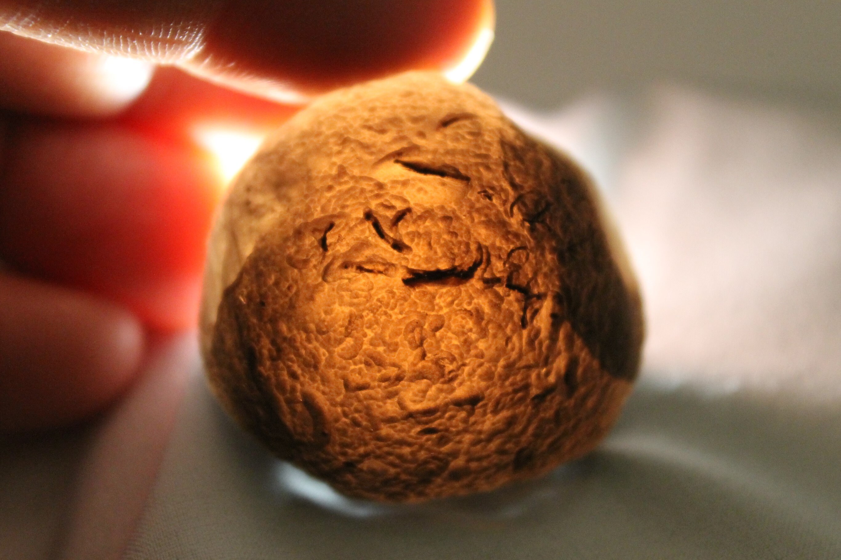 Cintamani Saffordite Tektite- Cintamani Stone from Arizona, USA- Rare ...