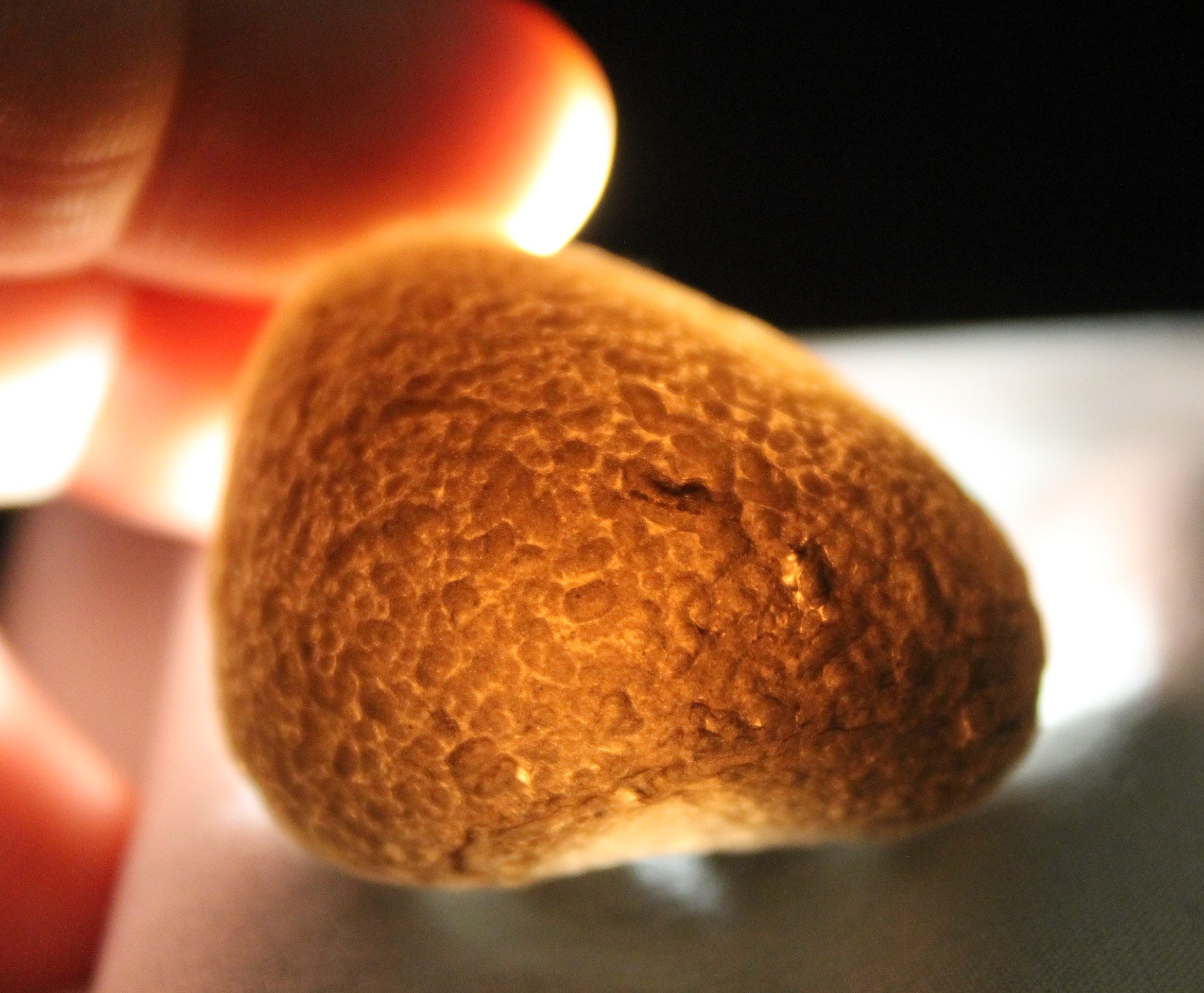 Rare 33 Grams or 165 Carat Saffordite Translucent Tektite- Cintamani ...