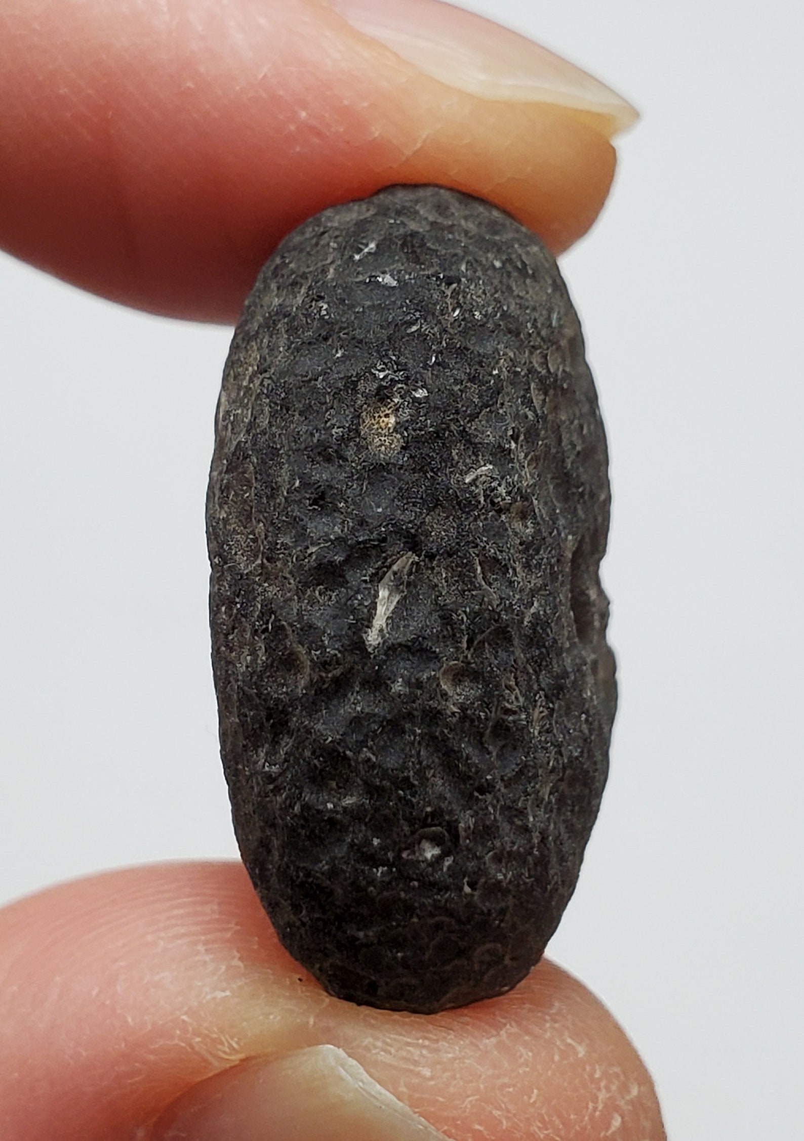 Cintamani Saffordite 8.6 Grams cintamani Stone - Etsy