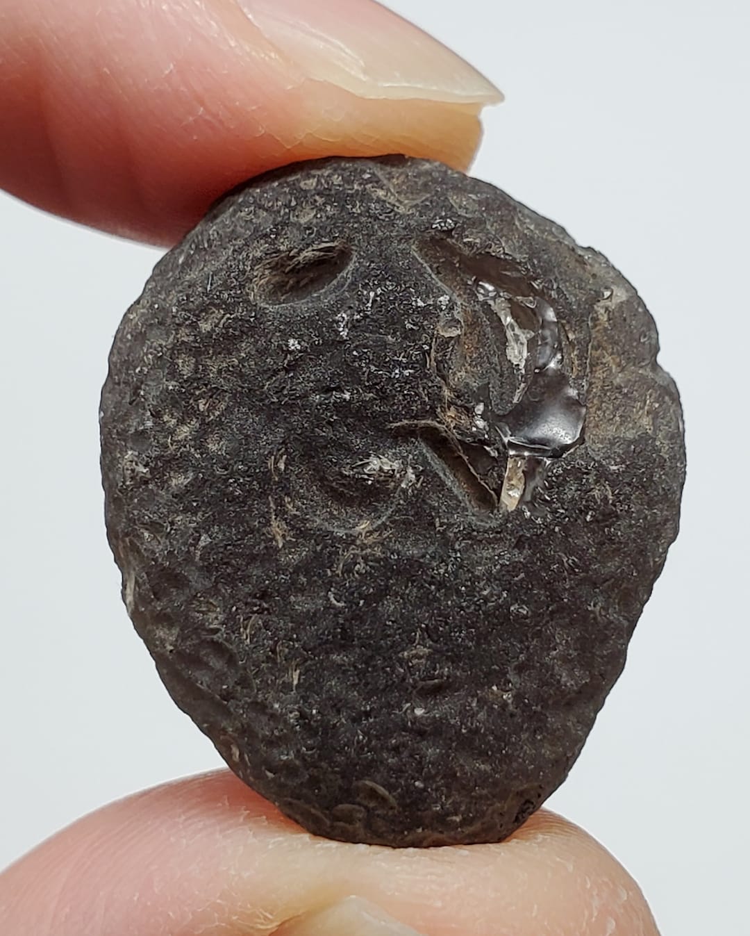 Cintamani Saffordite 8.6 Grams- "cintamani Stone" Senora Desert Arizona ...