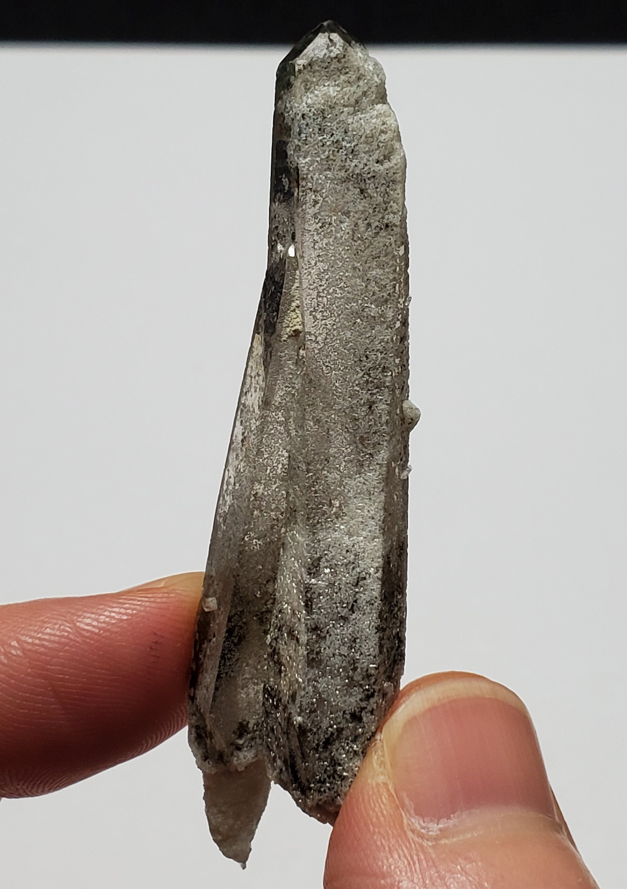Natural Smokey Starbrary Crystal Tomás Gonzaga, Curvelo, Brazil ...