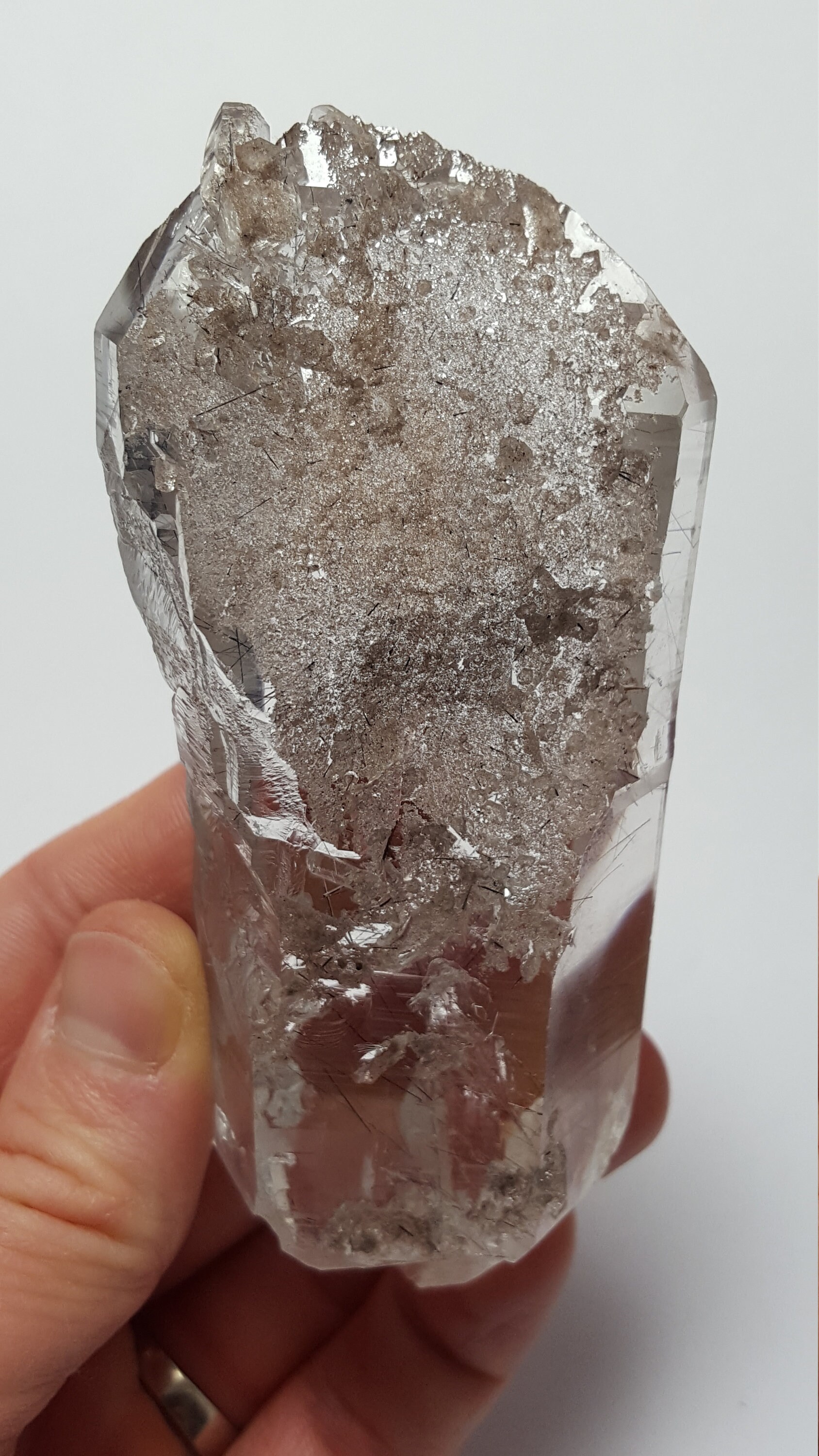 Cathedral Quartz with Tourmaline Inclusions from Brazil- Large Palm ...