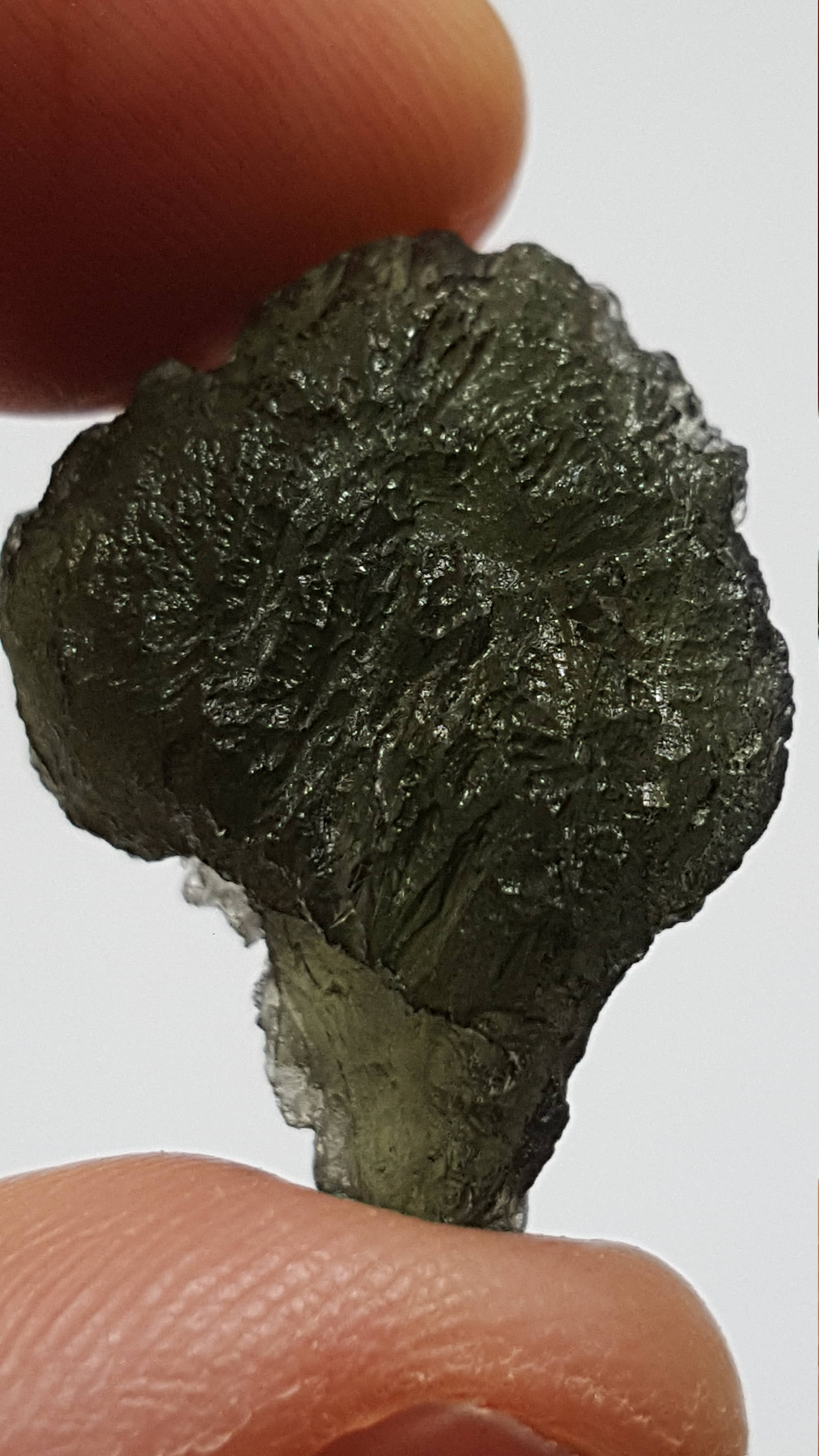 Moldavite Tektite 4.7 Grams or 23.5 Carats- Czech Republic- Excellent ...