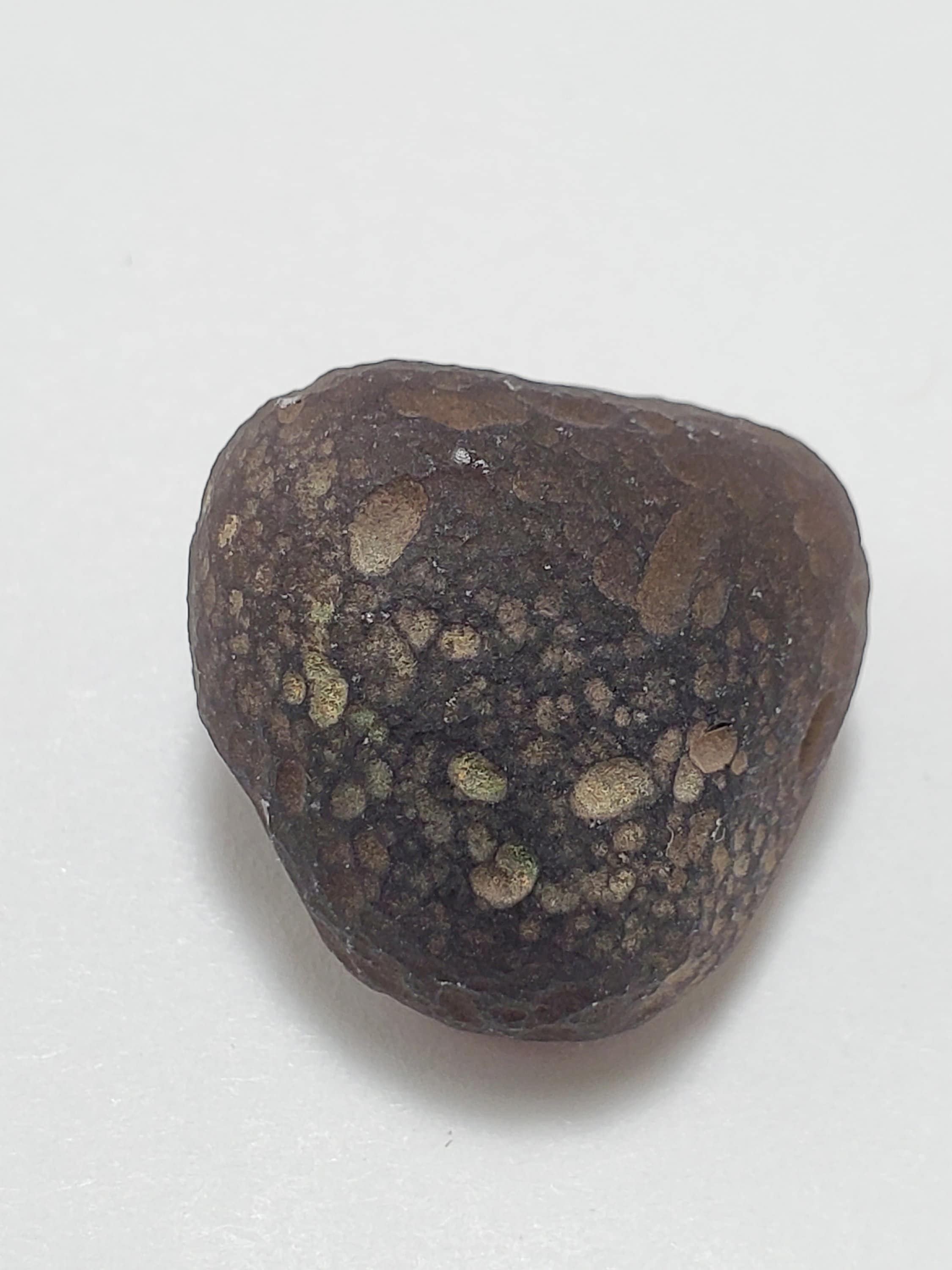 Cintamani Saffordite 8.4 Grams- Cintamani Stone Safford Arizona USA ...