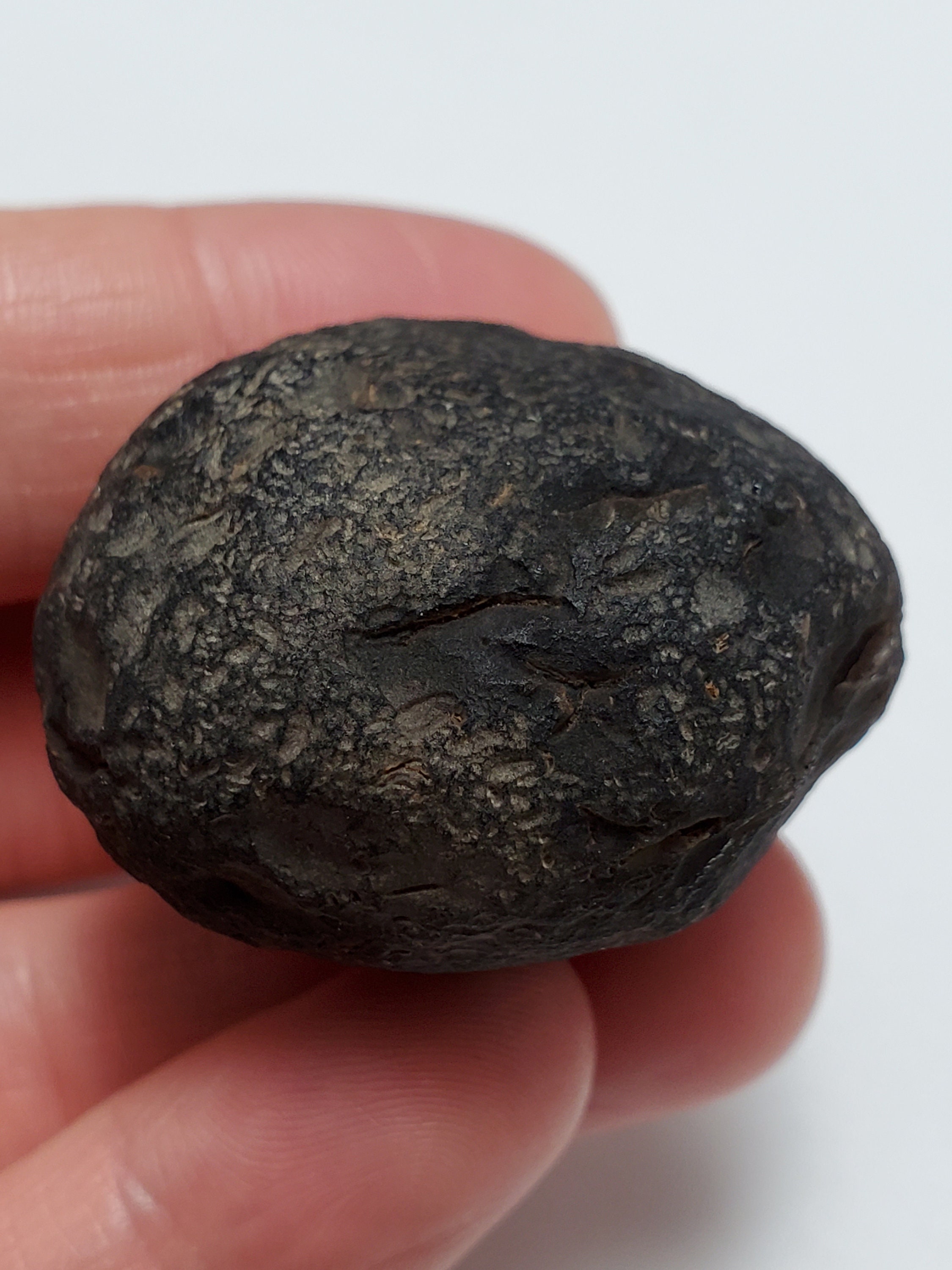 HUGE 44.3 Grams or 221.5 Carat Saffordite Translucent Tektite ...