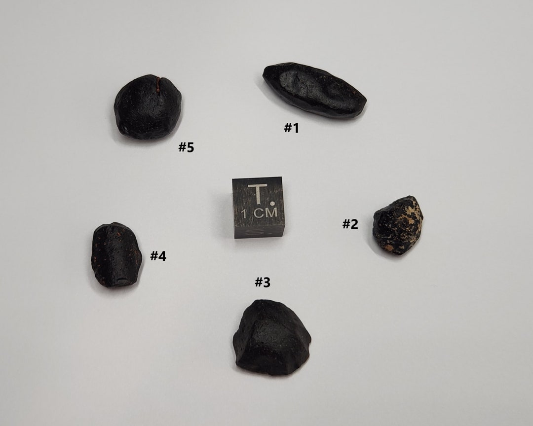 Choose One Australite Tektite From South Australia Australasian Impact ...