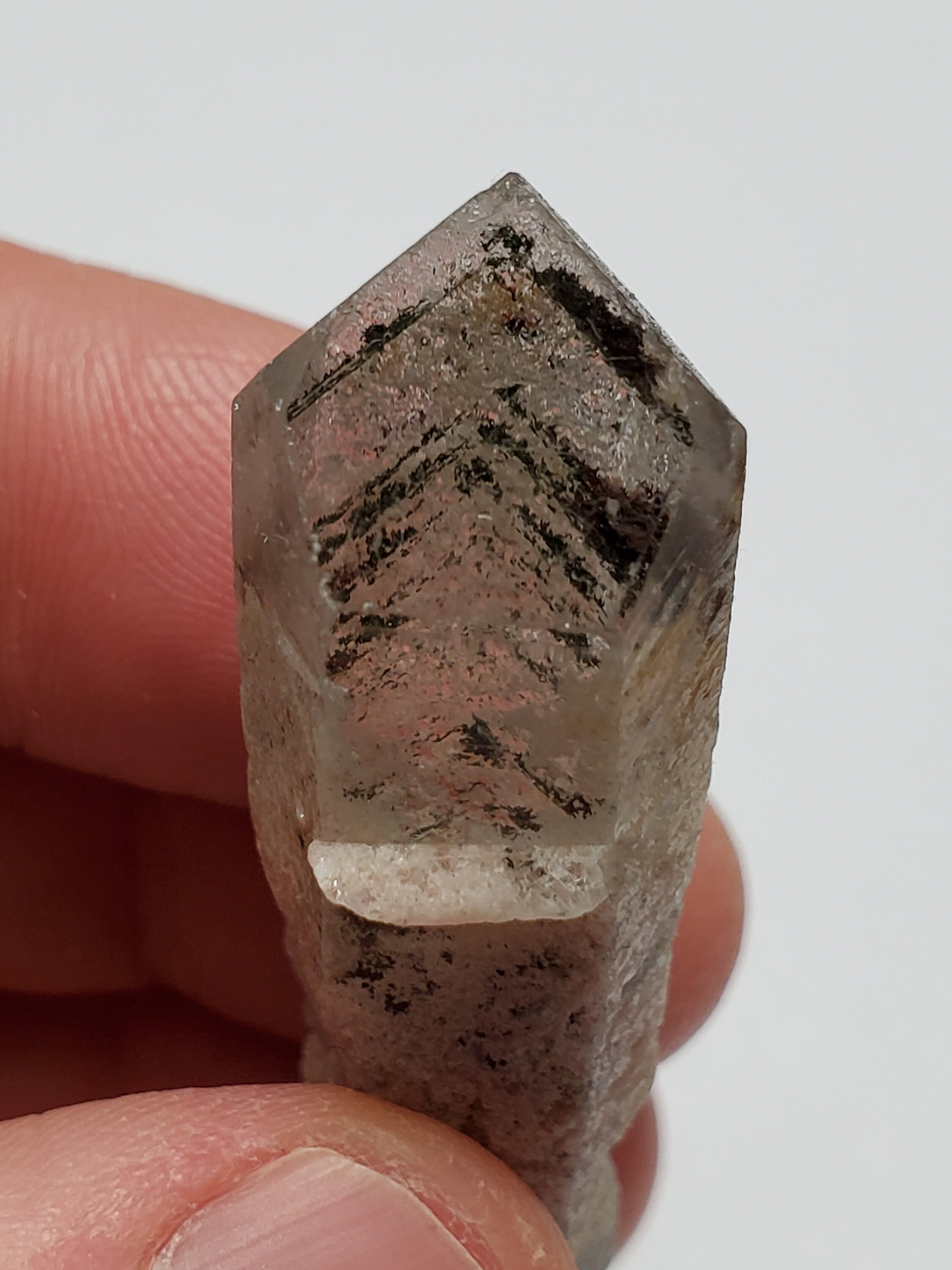Unpolished 'Garden/ Shaman' Quartz Crystal with Excellent Mineral ...