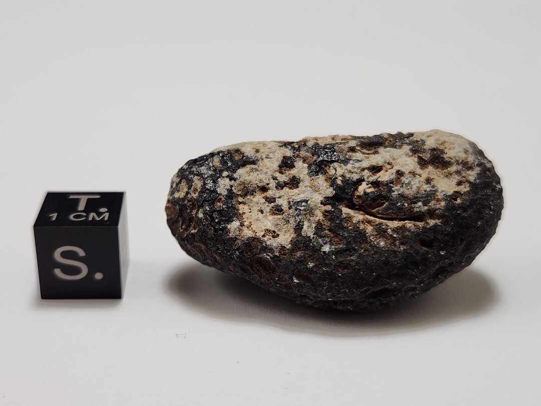 Saffordite 19.2 Gram- "cintamani Stone" Safford Arizona USA- Oblong ...