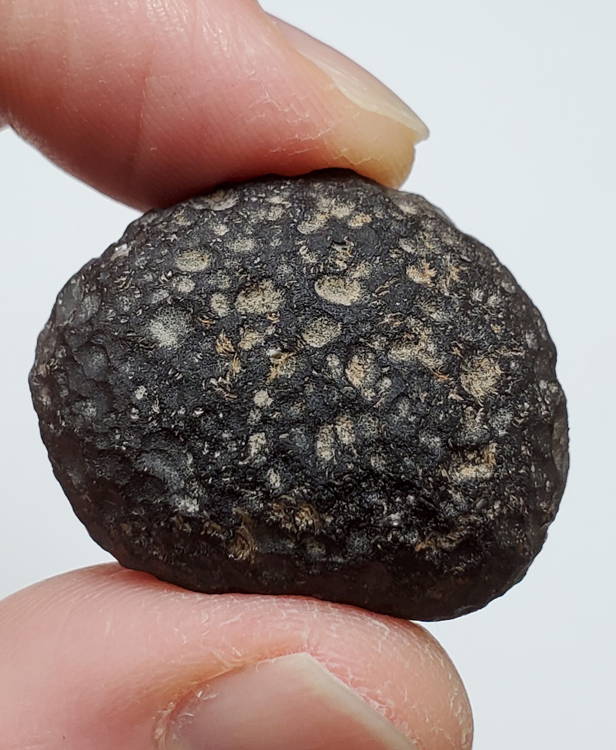 Cintamani Saffordite 14.4 Grams- Cintamani Stone Senora Desert Arizona ...