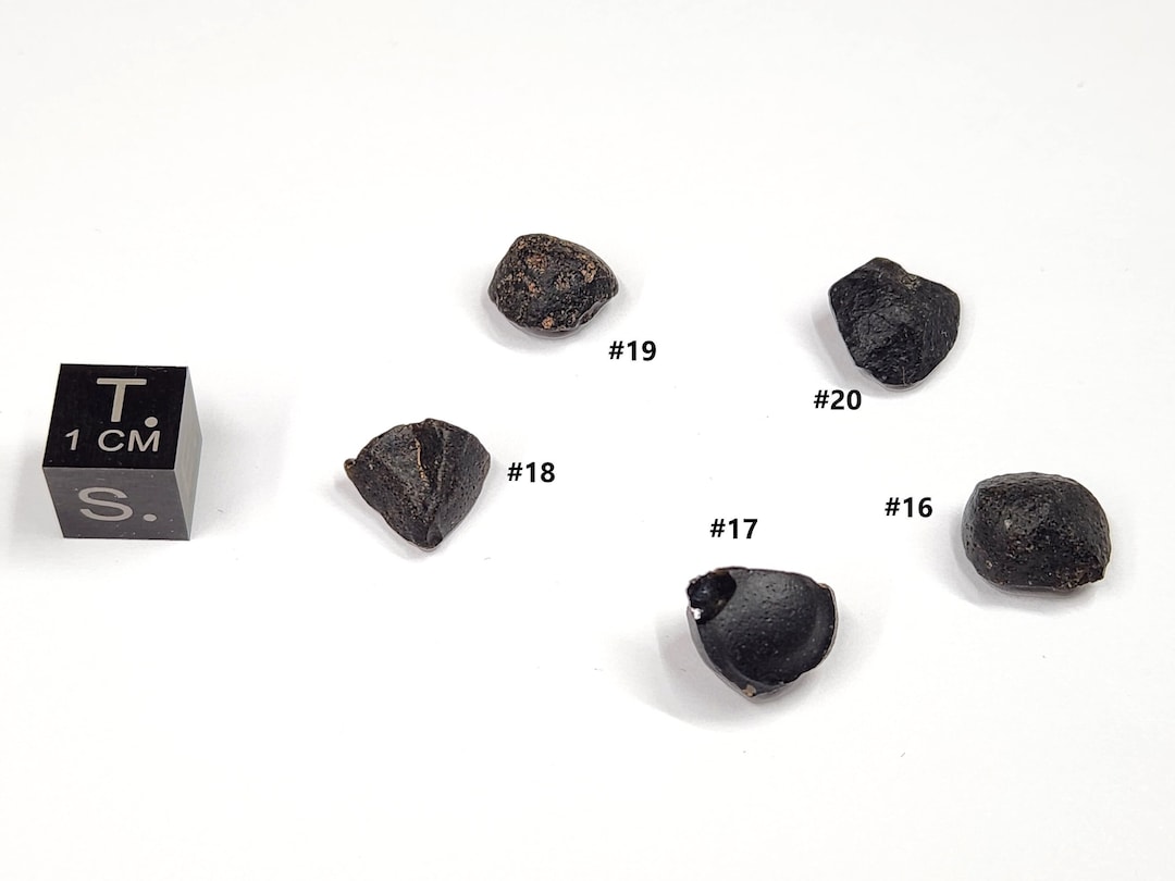Choose One Australite Tektite From South Australia- Australasian Impact ...