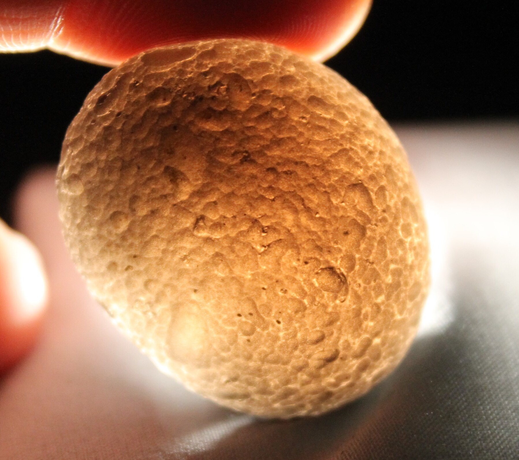 Rare 15.9 Grams or 79.5 Carat Saffordite Translucent Tektite- Cintamani ...