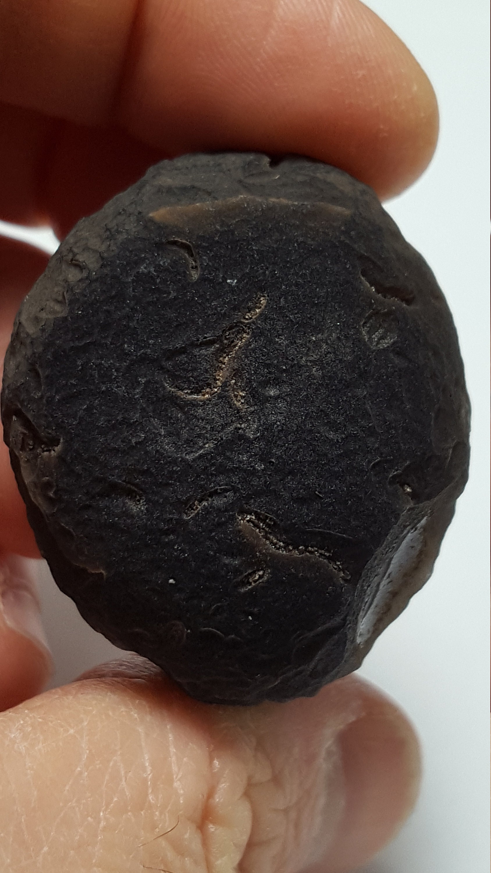 Large Saffordite Cintamani Tektite- Cintamani Stone from Arizona, USA ...