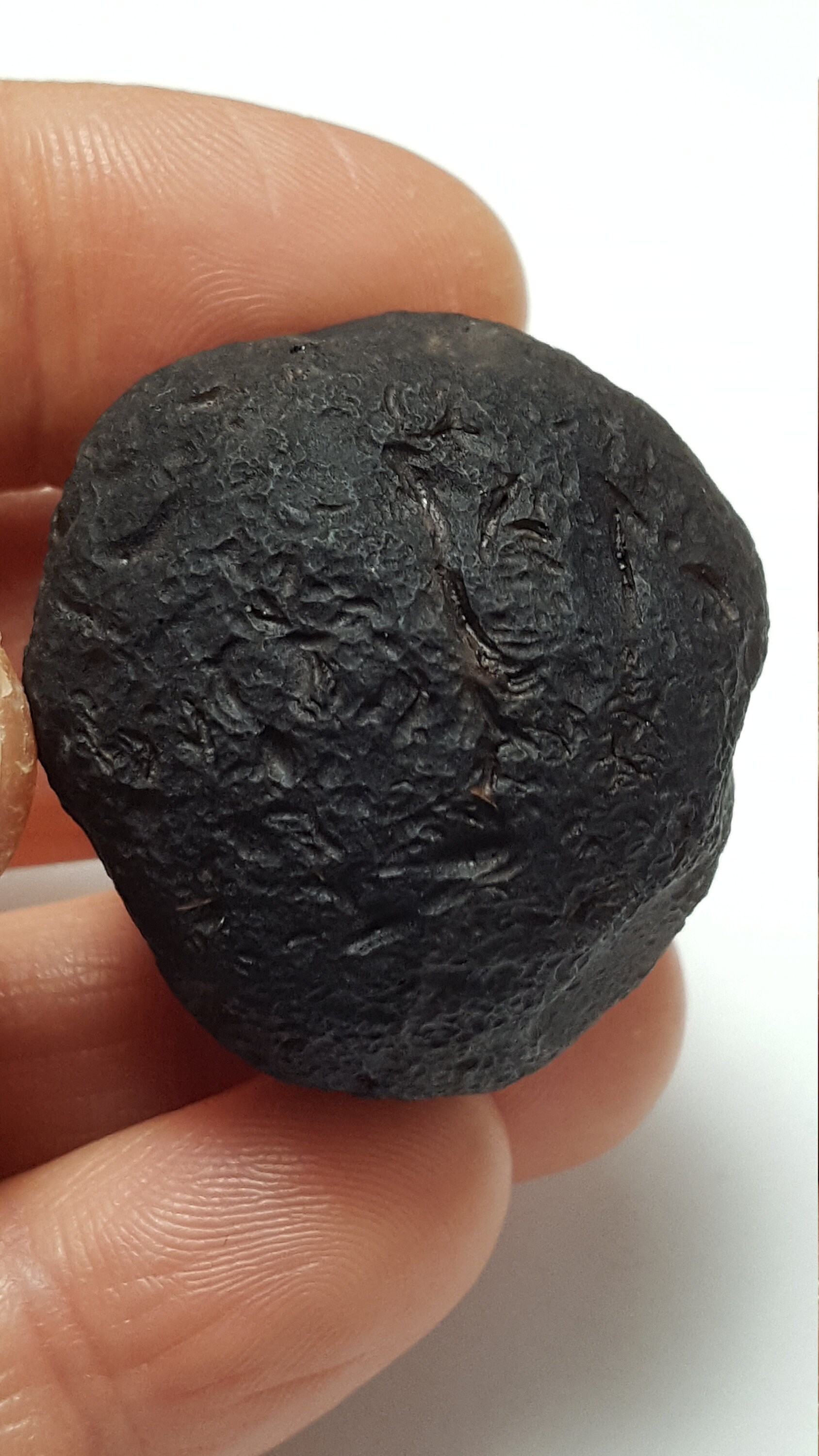 Cintamani Saffordite Tektite- Cintamani Stone from Arizona, USA- Rare ...