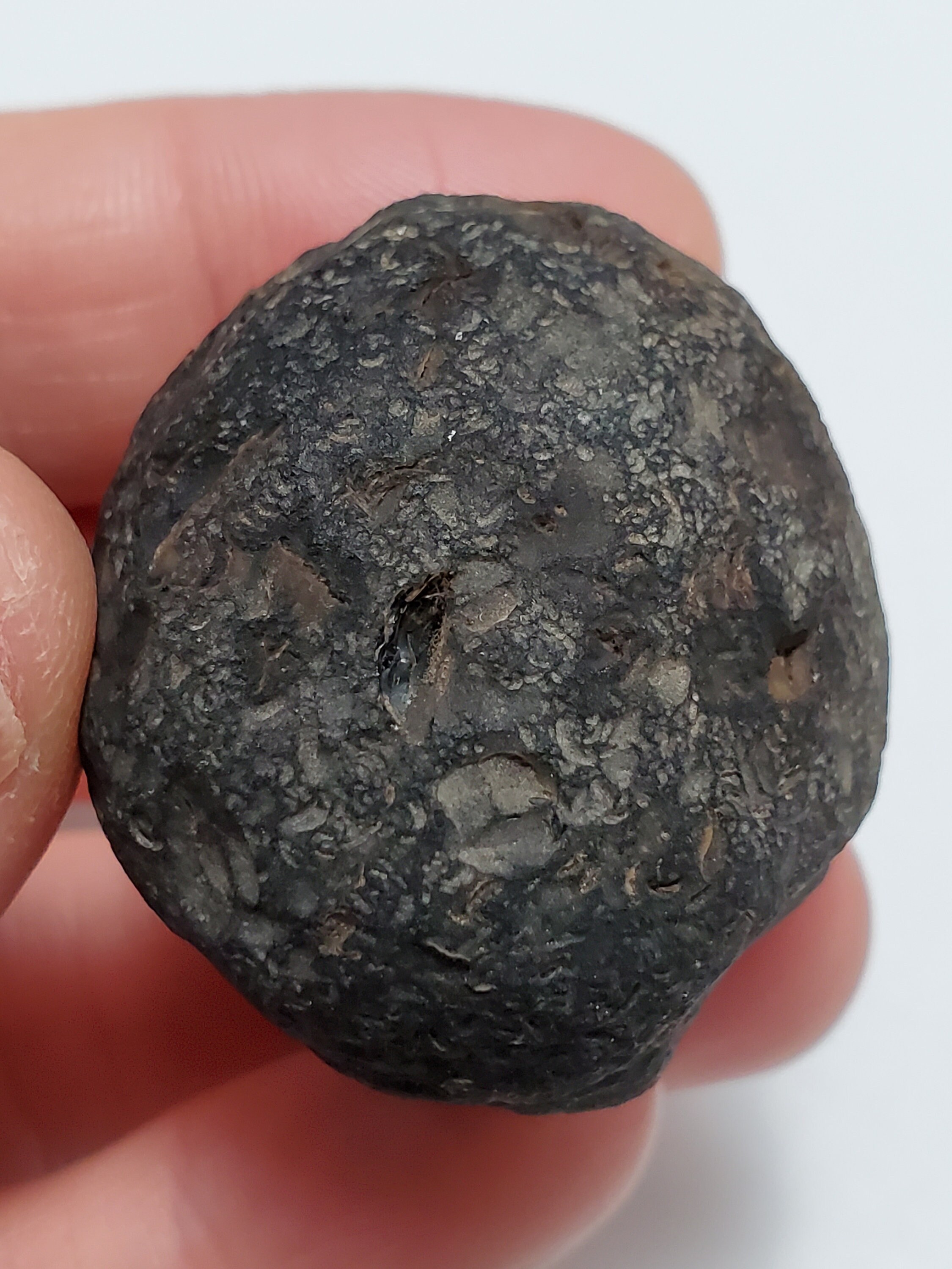 HUGE 44.3 Grams or 221.5 Carat Saffordite Translucent Tektite ...