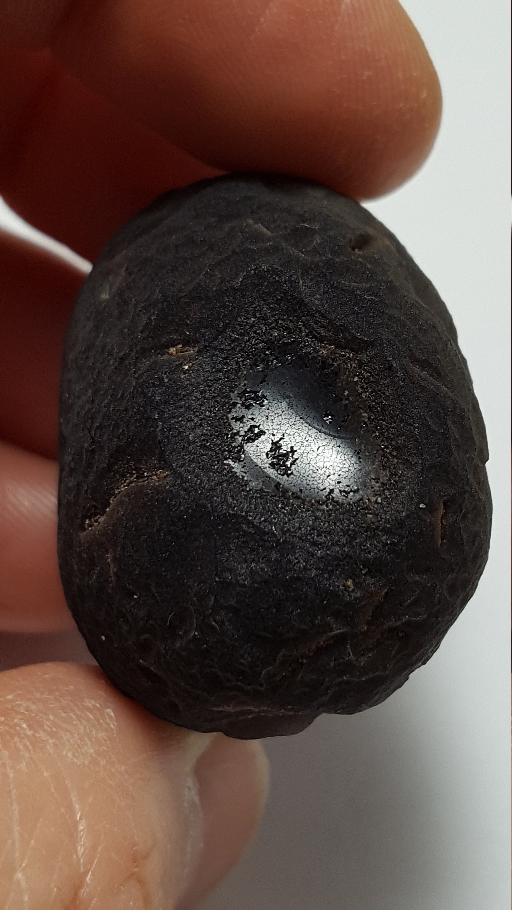 Large Saffordite Cintamani Tektite- Cintamani Stone from Arizona, USA ...