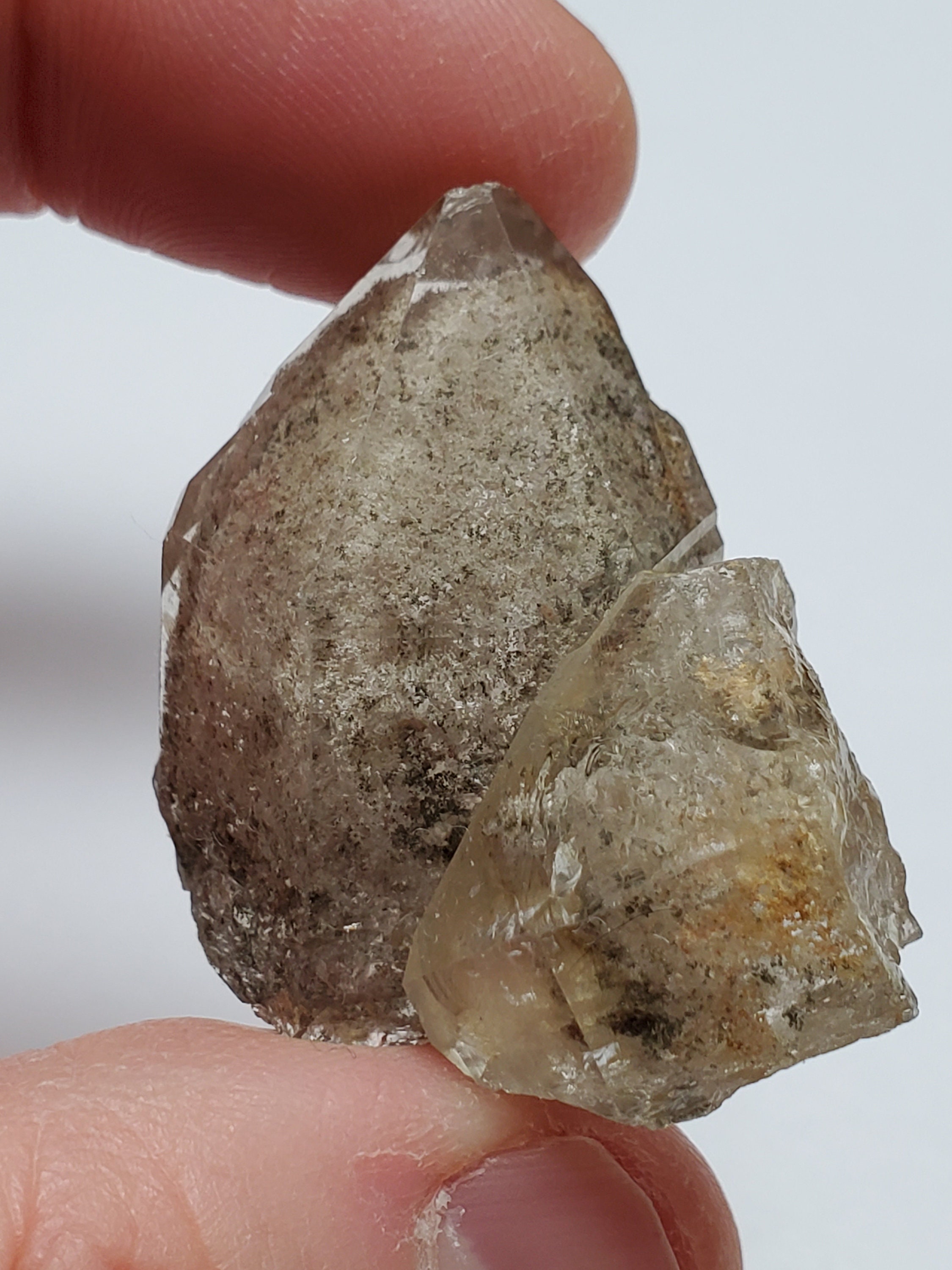 Unpolished 'Garden/ Shaman' Quartz Crystal with Excellent Mineral ...