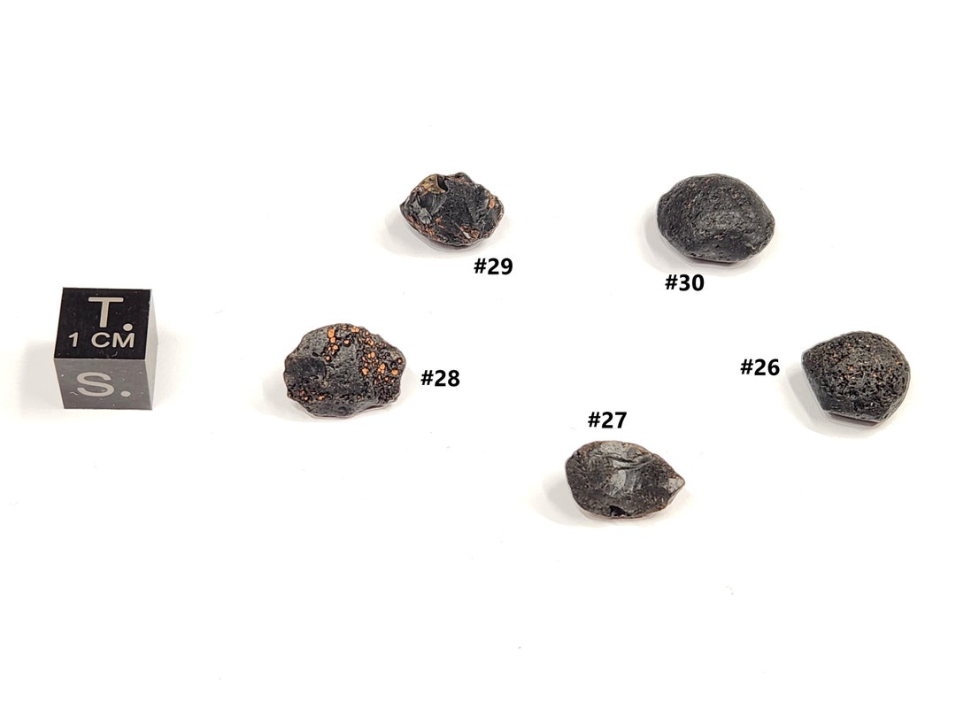 Choose One Australite Tektite From South Australia- Australasian Impact ...