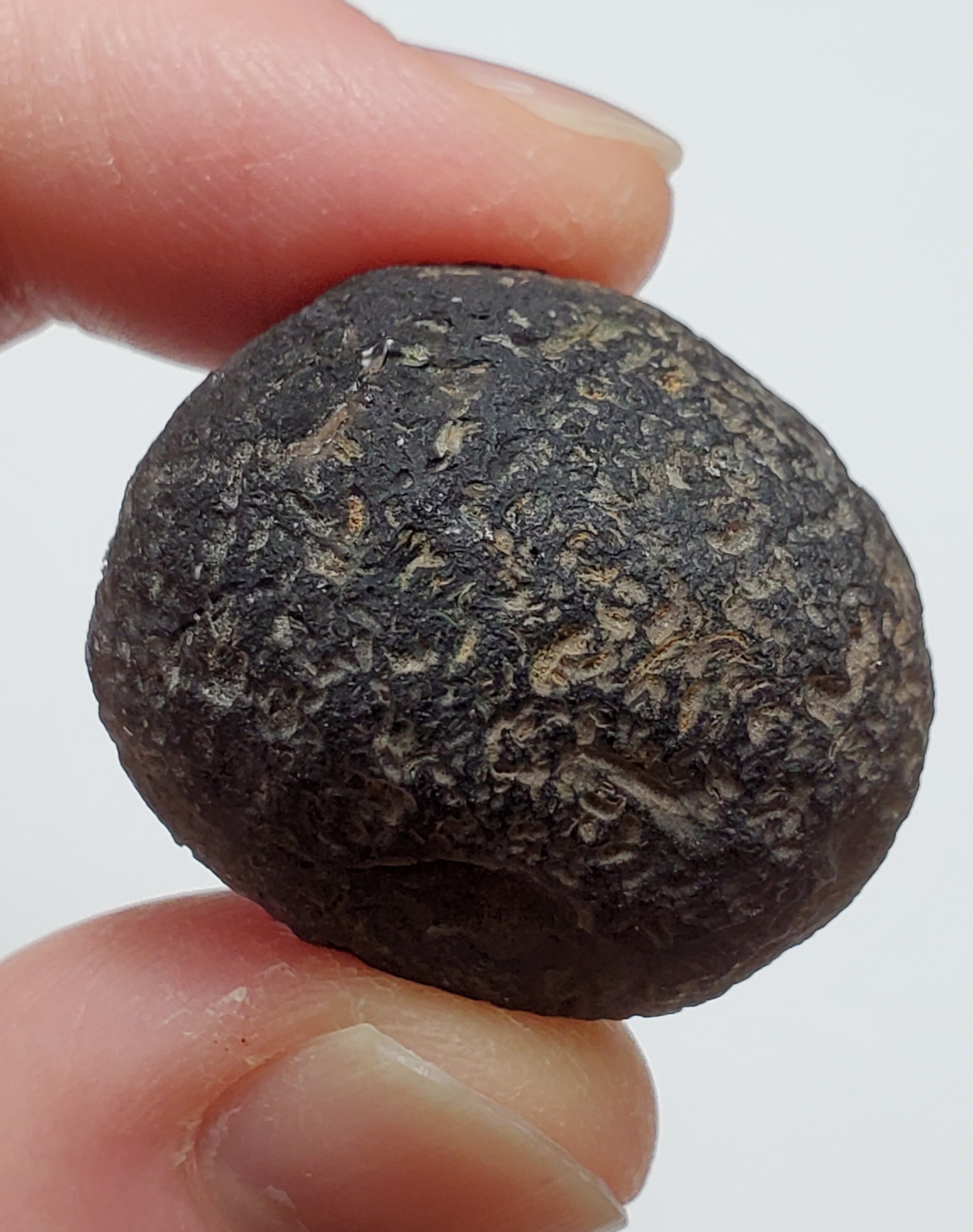 Cintamani Saffordite 20 Grams- Cintamani Stone Senora Desert Arizona ...