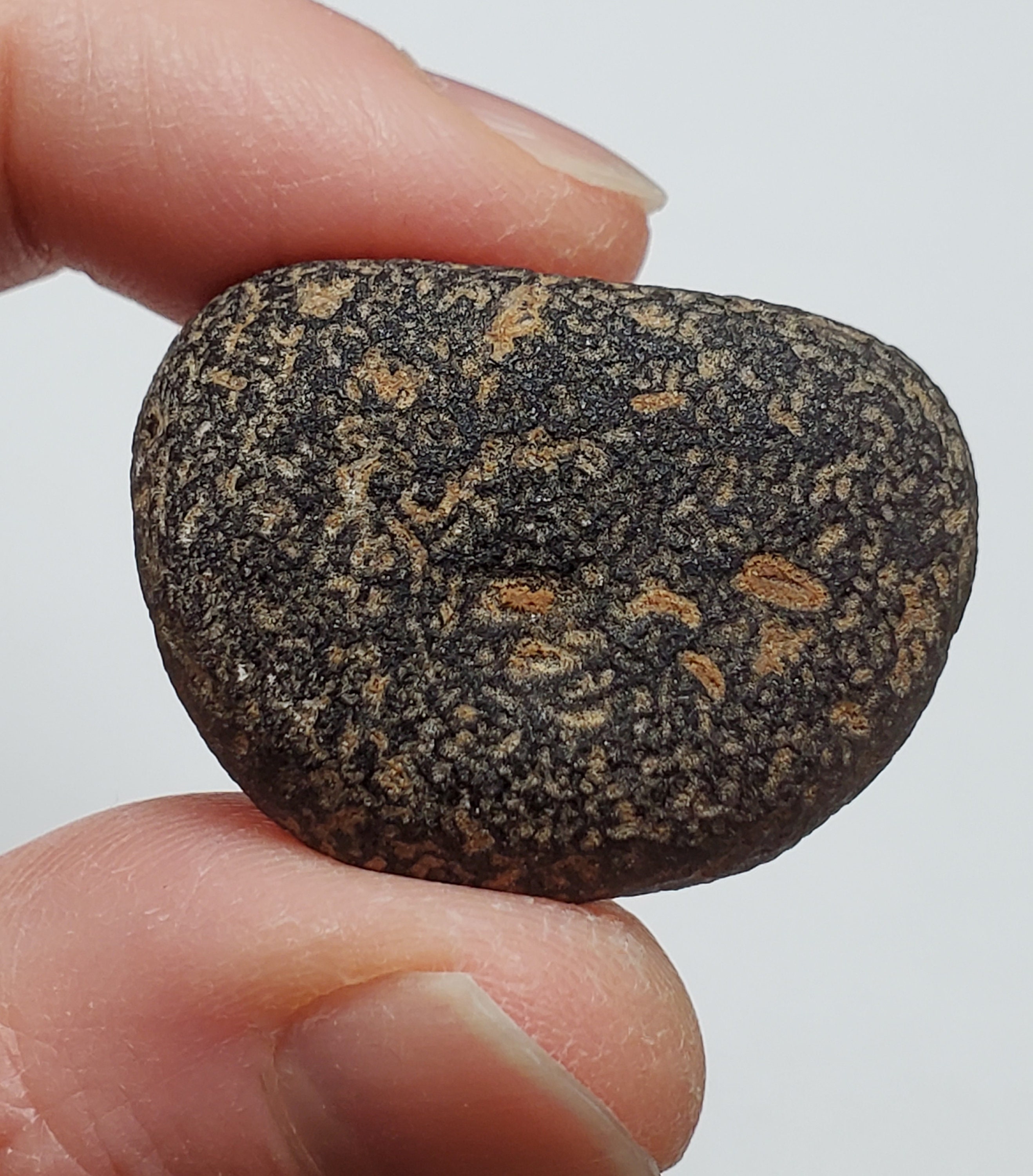 Cintamani Saffordite 18 Grams- Cintamani Stone Senora Desert Arizona ...