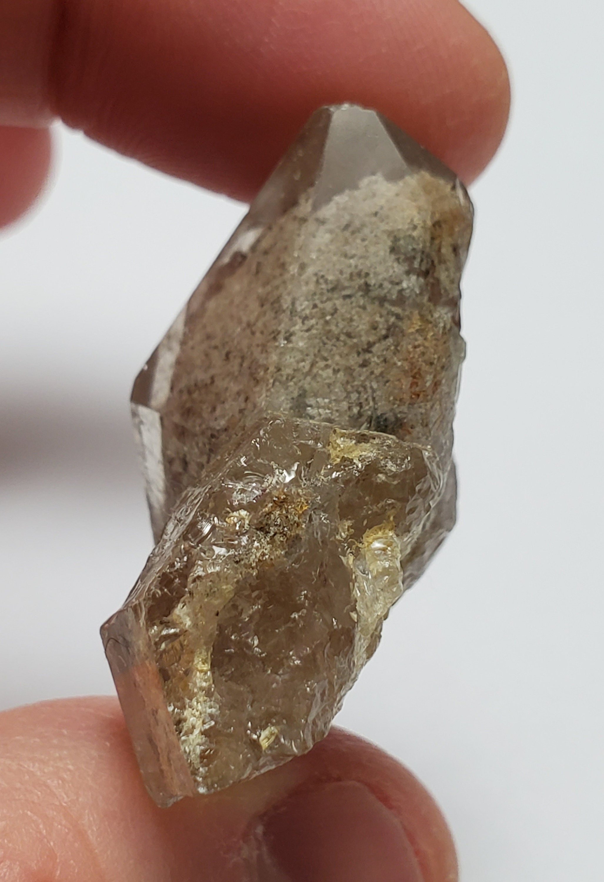 Unpolished 'Garden/ Shaman' Quartz Crystal with Excellent Mineral ...