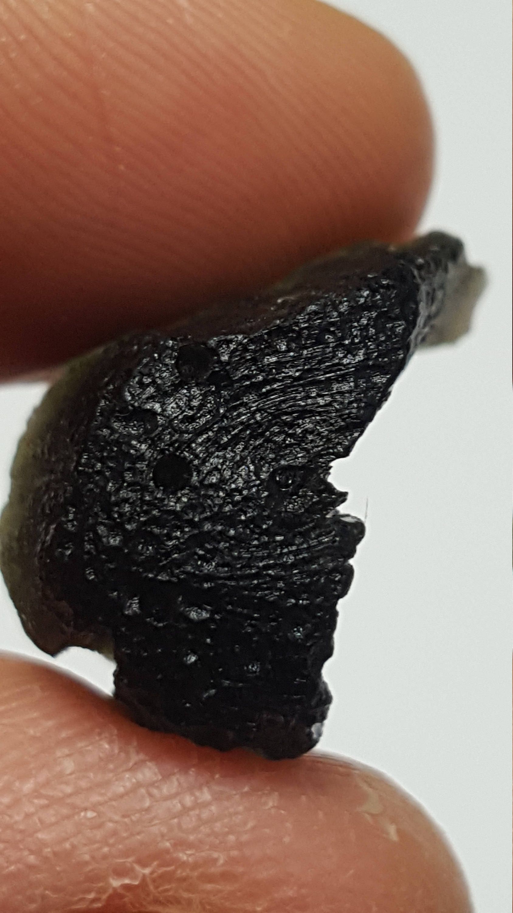Moldavite- Czech Republic- Nice Tektite- Excellent Color and Texture- 3 ...