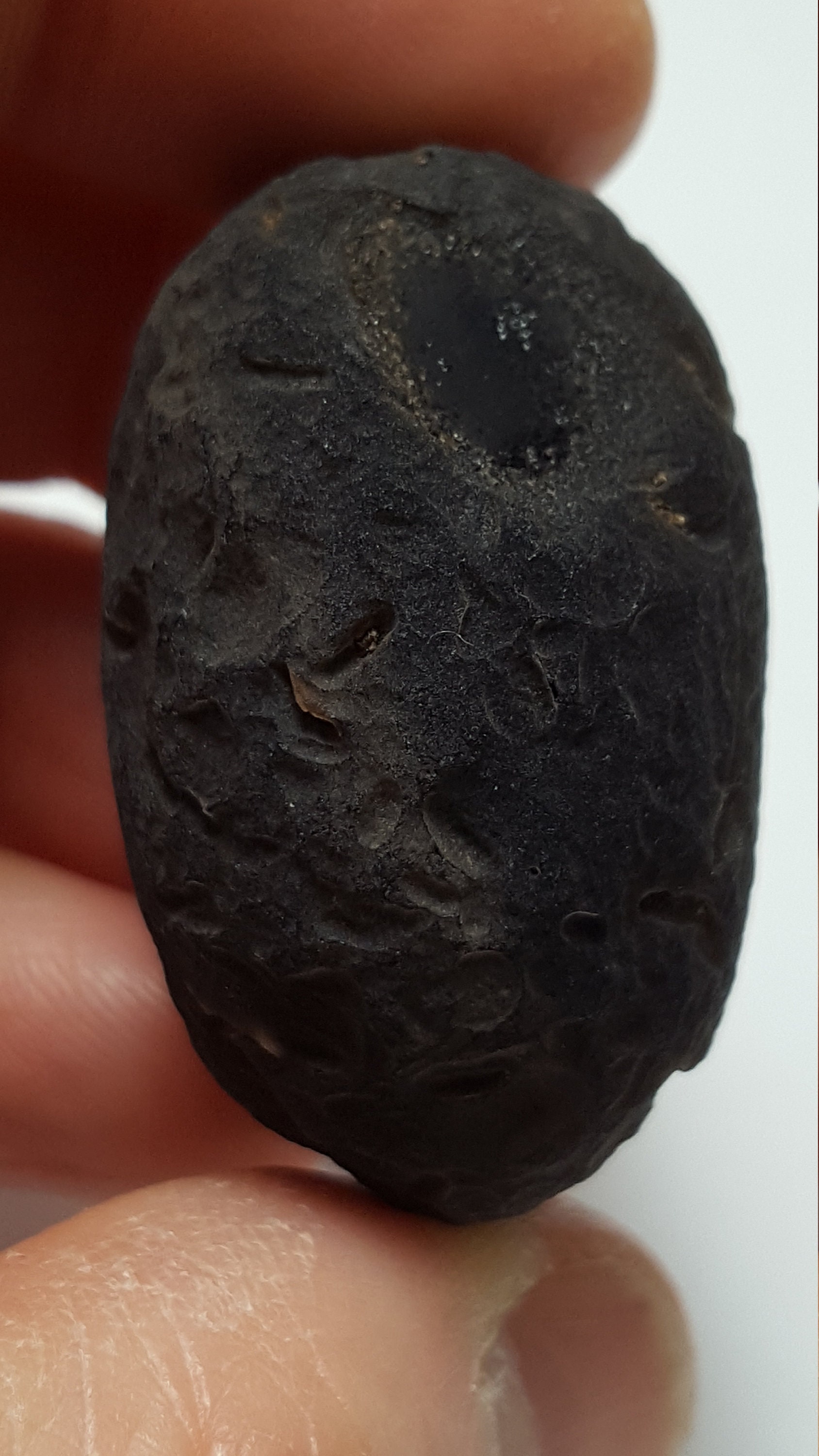 Large Saffordite Cintamani Tektite- Cintamani Stone from Arizona, USA ...