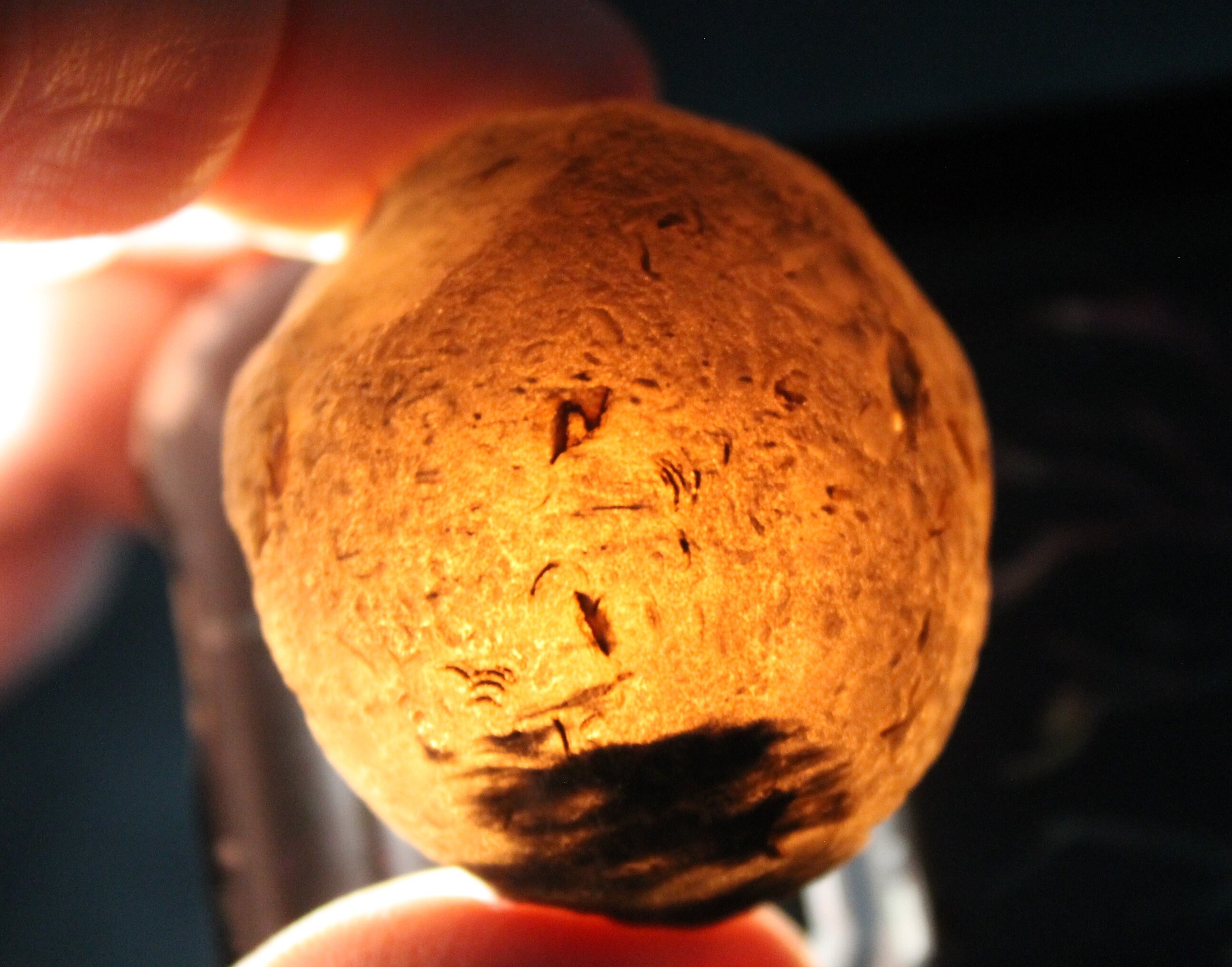 HUGE 44.3 Grams or 221.5 Carat Saffordite Translucent Tektite ...