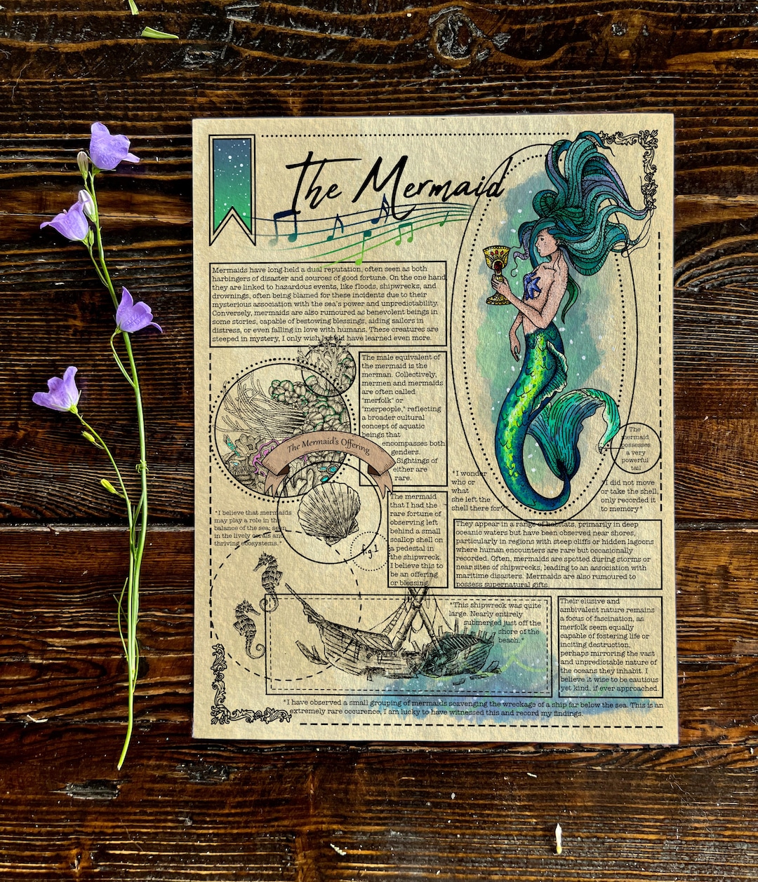 Dnd Mermaid Siren Scientific Fantasy Print - Etsy
