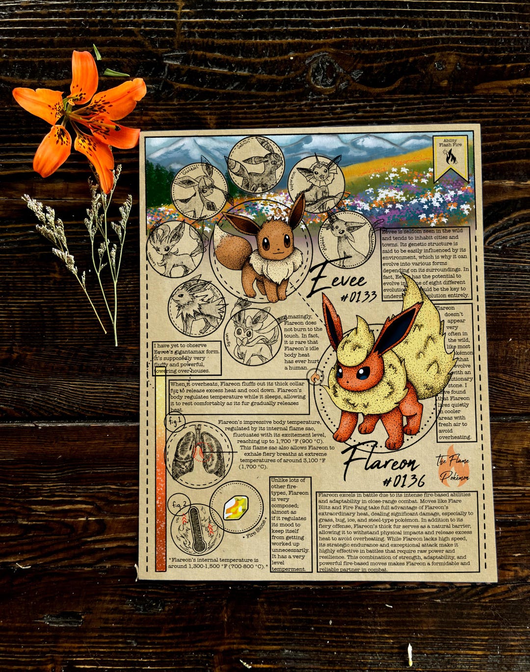 Flareon Scientific Print Pokémon Pokemon Gift Eevee Pokemon Art Pokemon ...