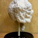 Joseph Merrick, the Elephant Man Life-size Skull Reproduction - Etsy
