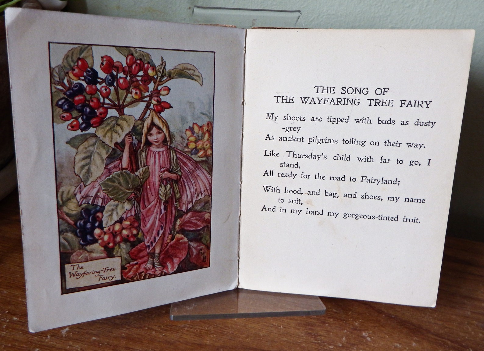 Cicely Mary Barker Vintage Book, Flower Fairies of the Autumn, Flower ...
