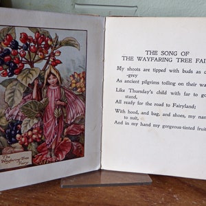 Cicely Mary Barker Vintage Book, Flower Fairies of the Autumn, Flower ...