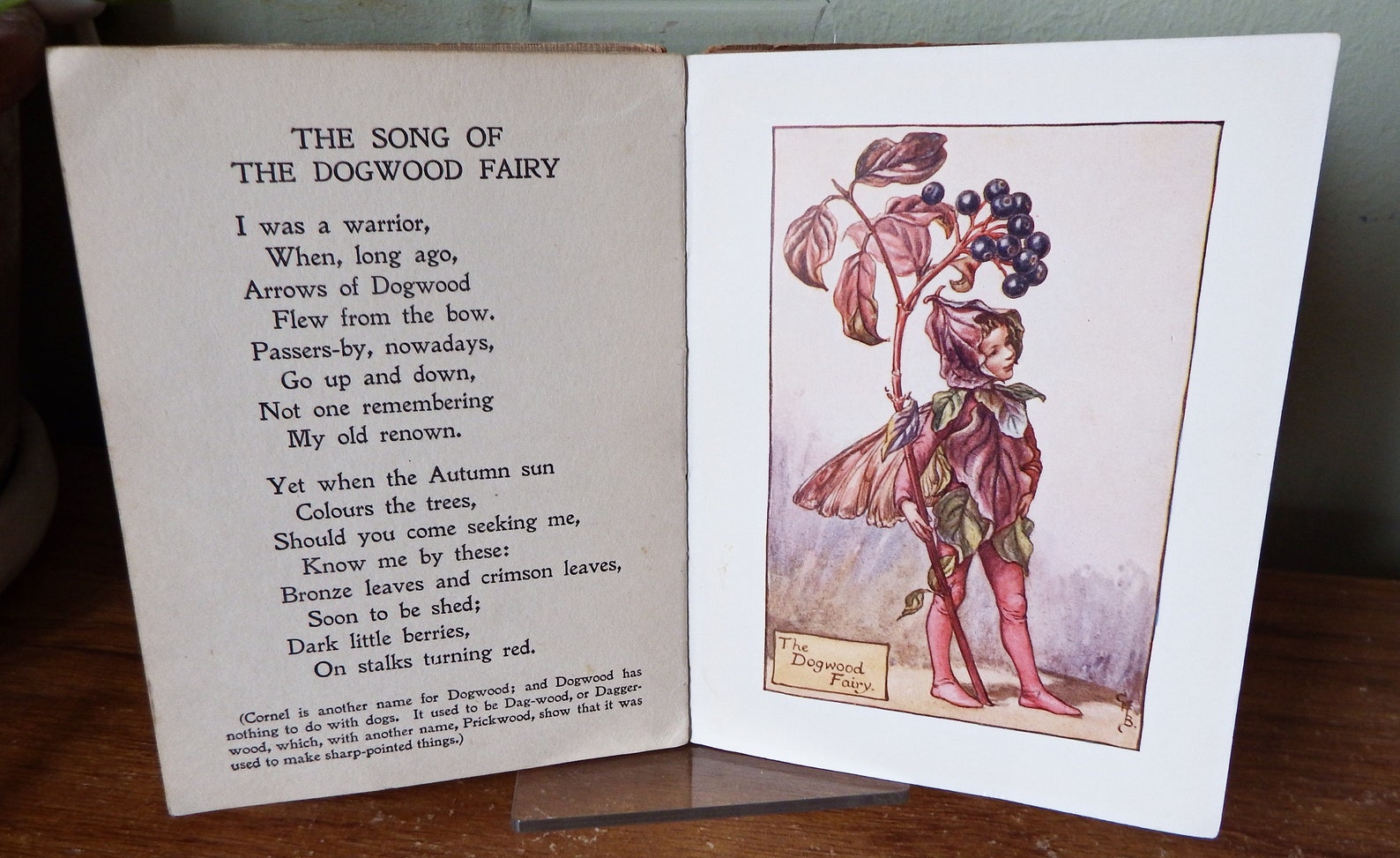 Cicely Mary Barker Vintage Book, Flower Fairies of the Autumn, Flower ...